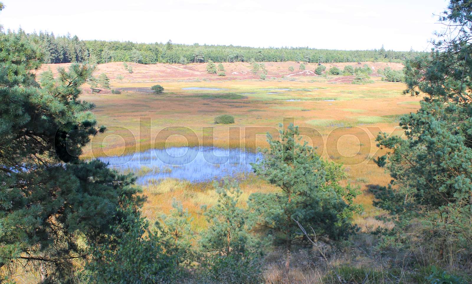 denmark, puddle, water | Stock image | Colourbox