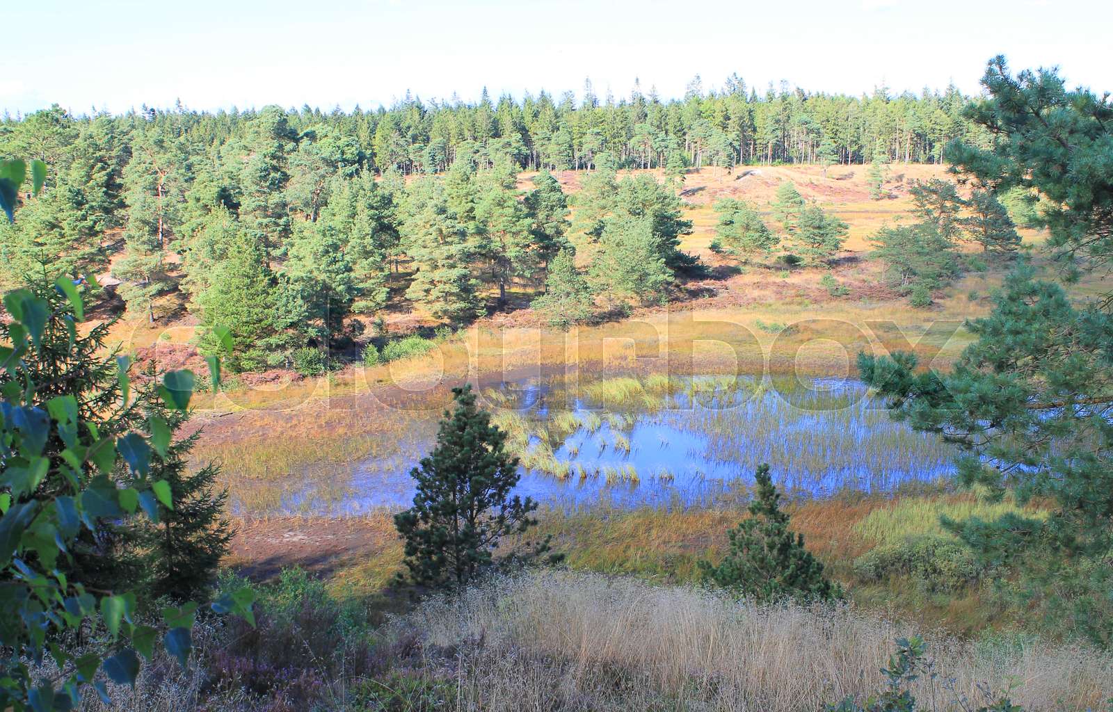denmark, puddle, water | Stock image | Colourbox