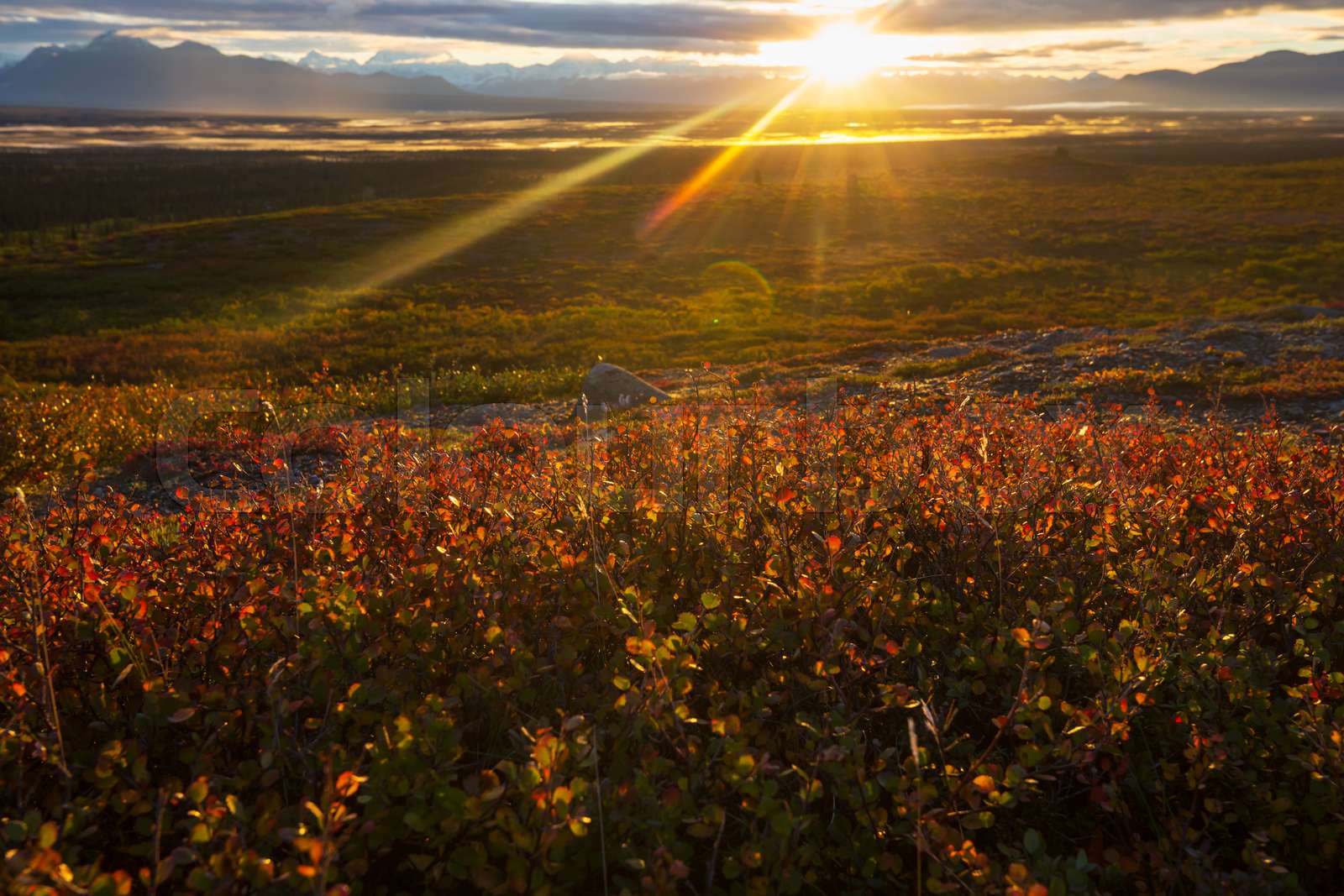 Autumn in Alaska | Stock image | Colourbox