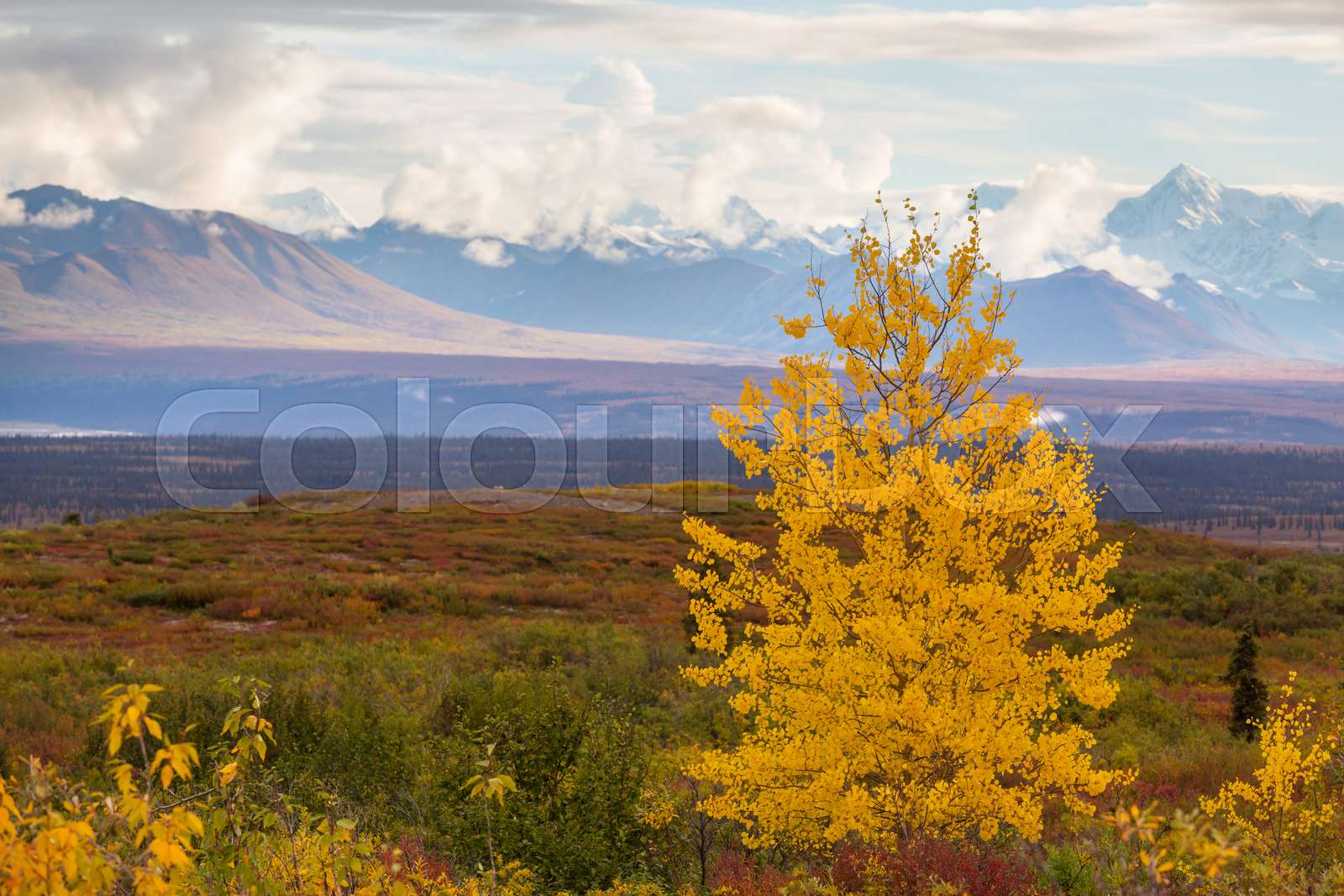 Autumn in Alaska | Stock image | Colourbox