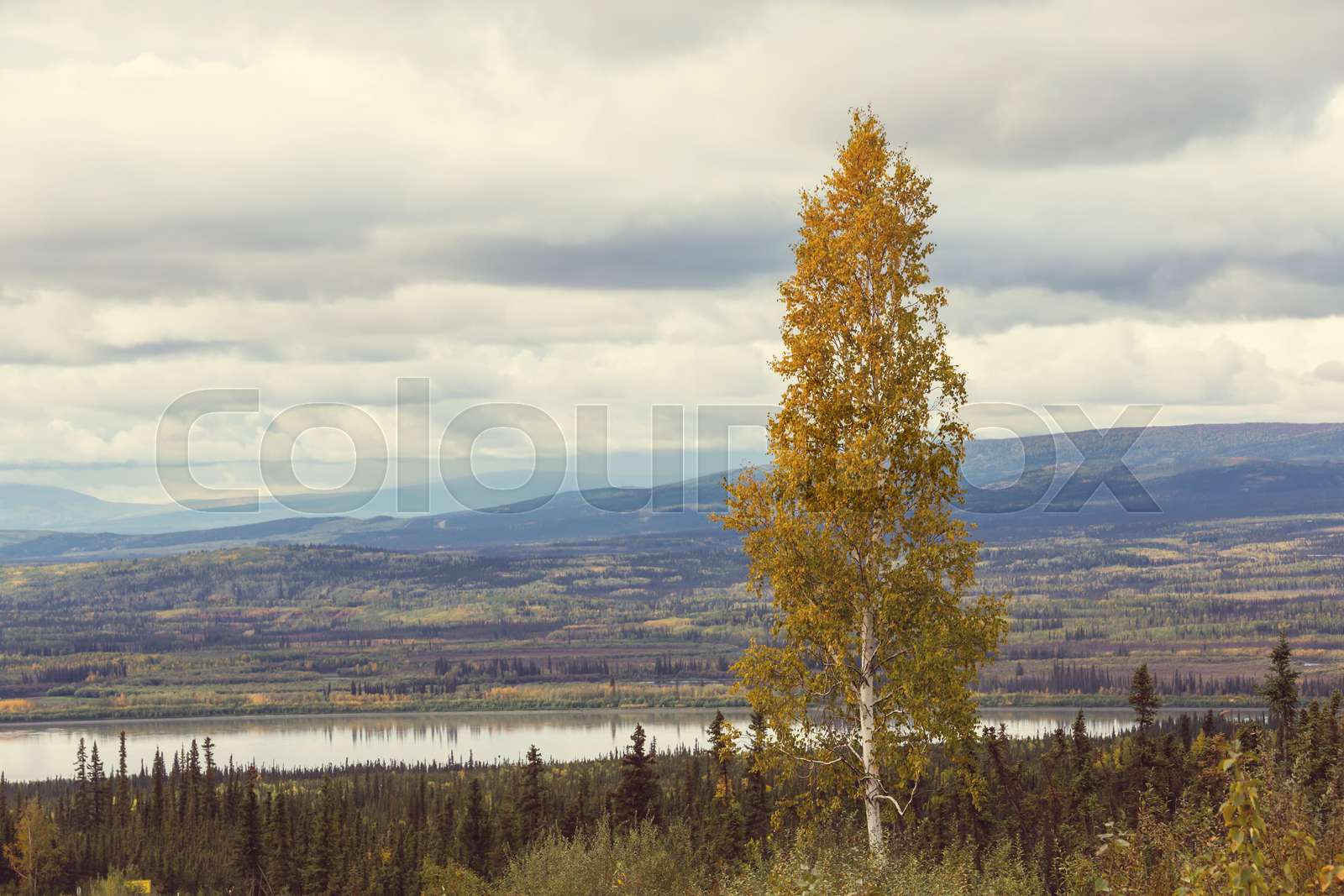 Autumn in Alaska | Stock image | Colourbox