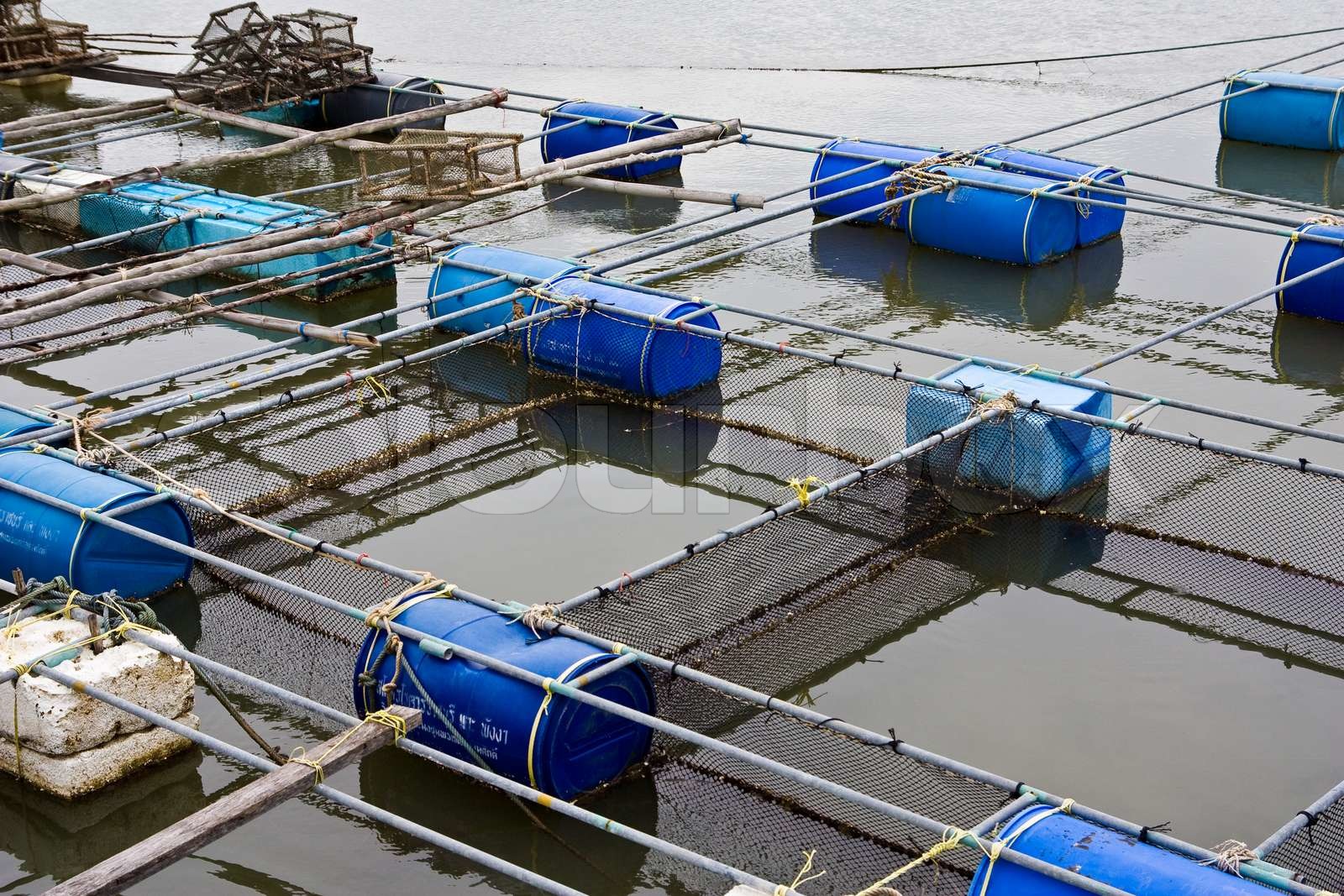 Local Thai Cage Fish Farming | Stock image | Colourbox
