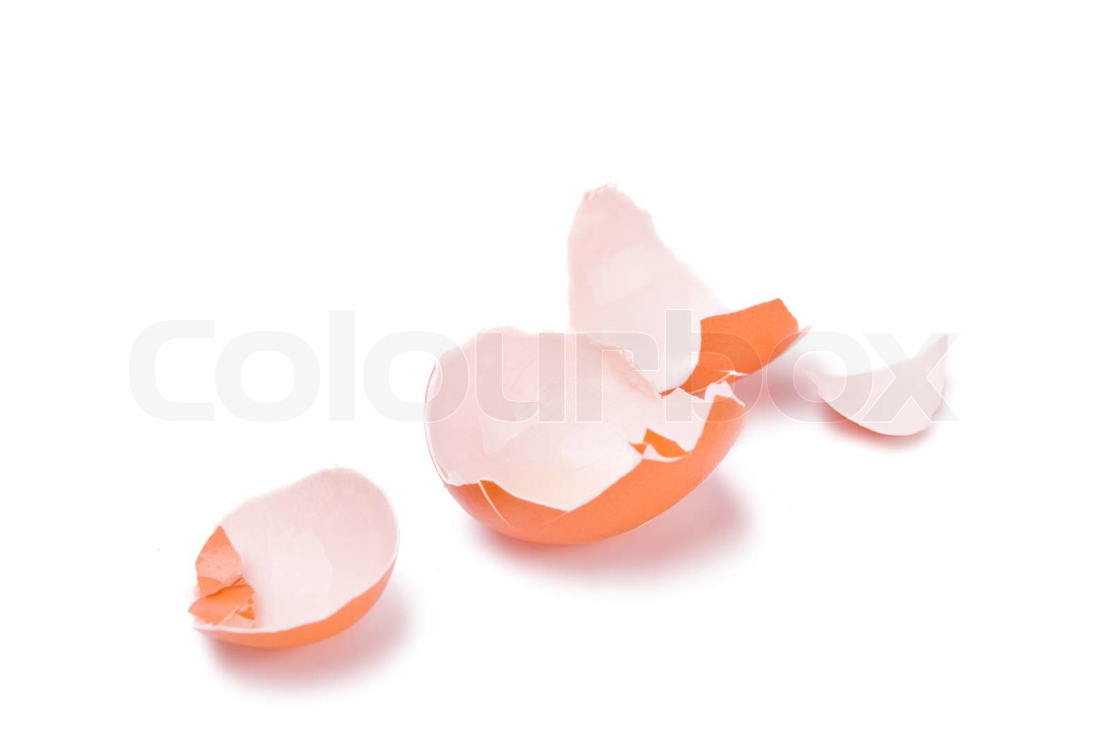 eierschale isoliert | Stock Bild | Colourbox