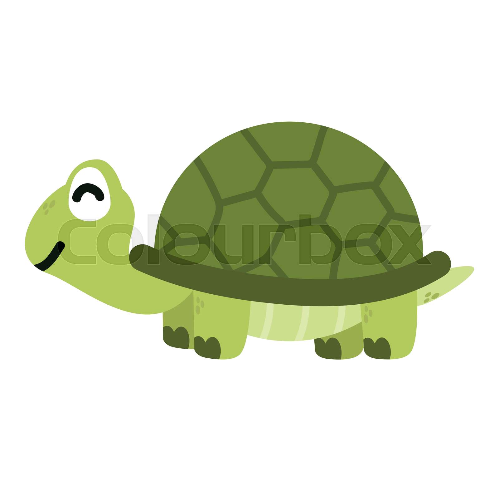 turtle wild animal cartoon vector | Stock vector | Colourbox