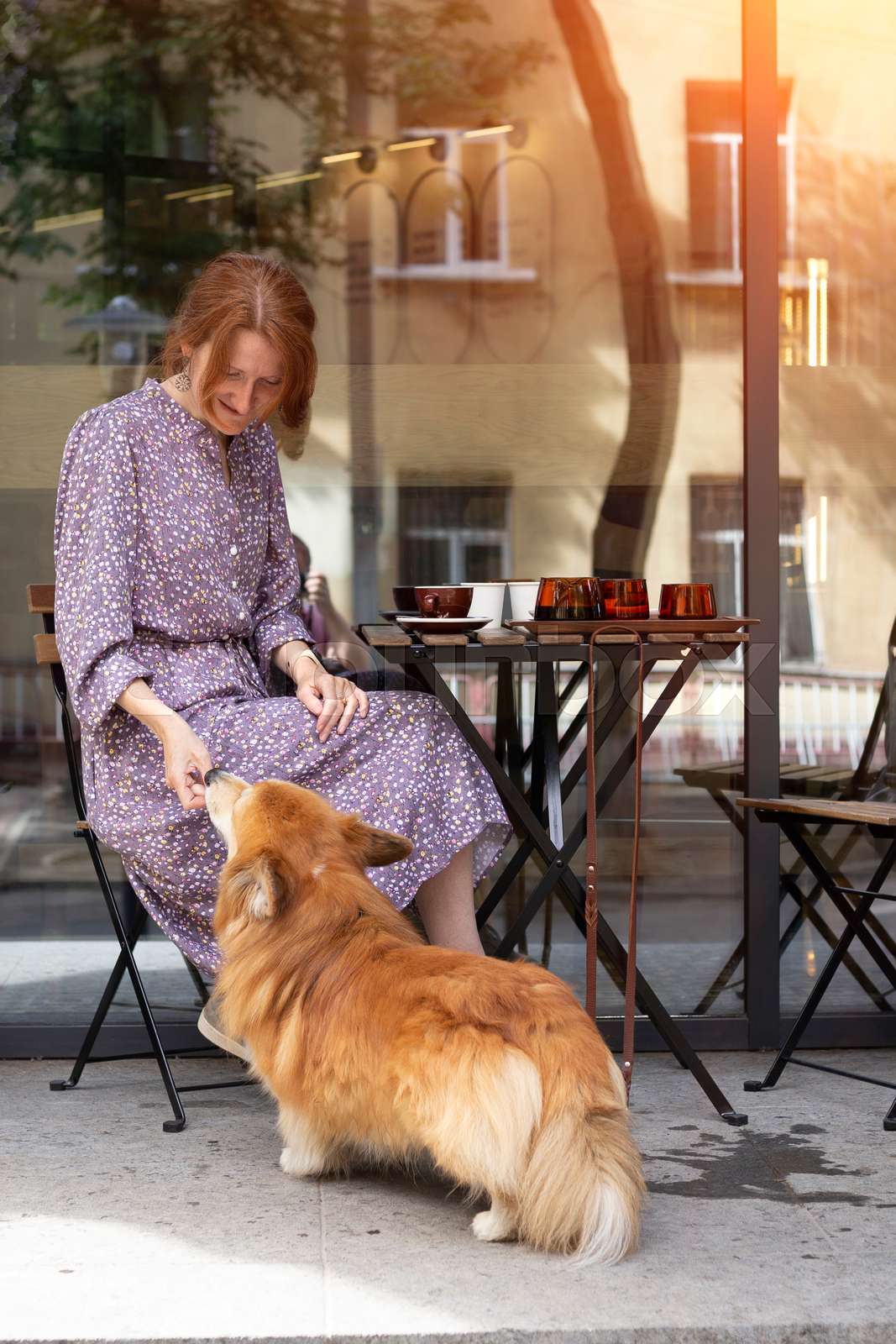 girl with a dog corgi | Stock image | Colourbox