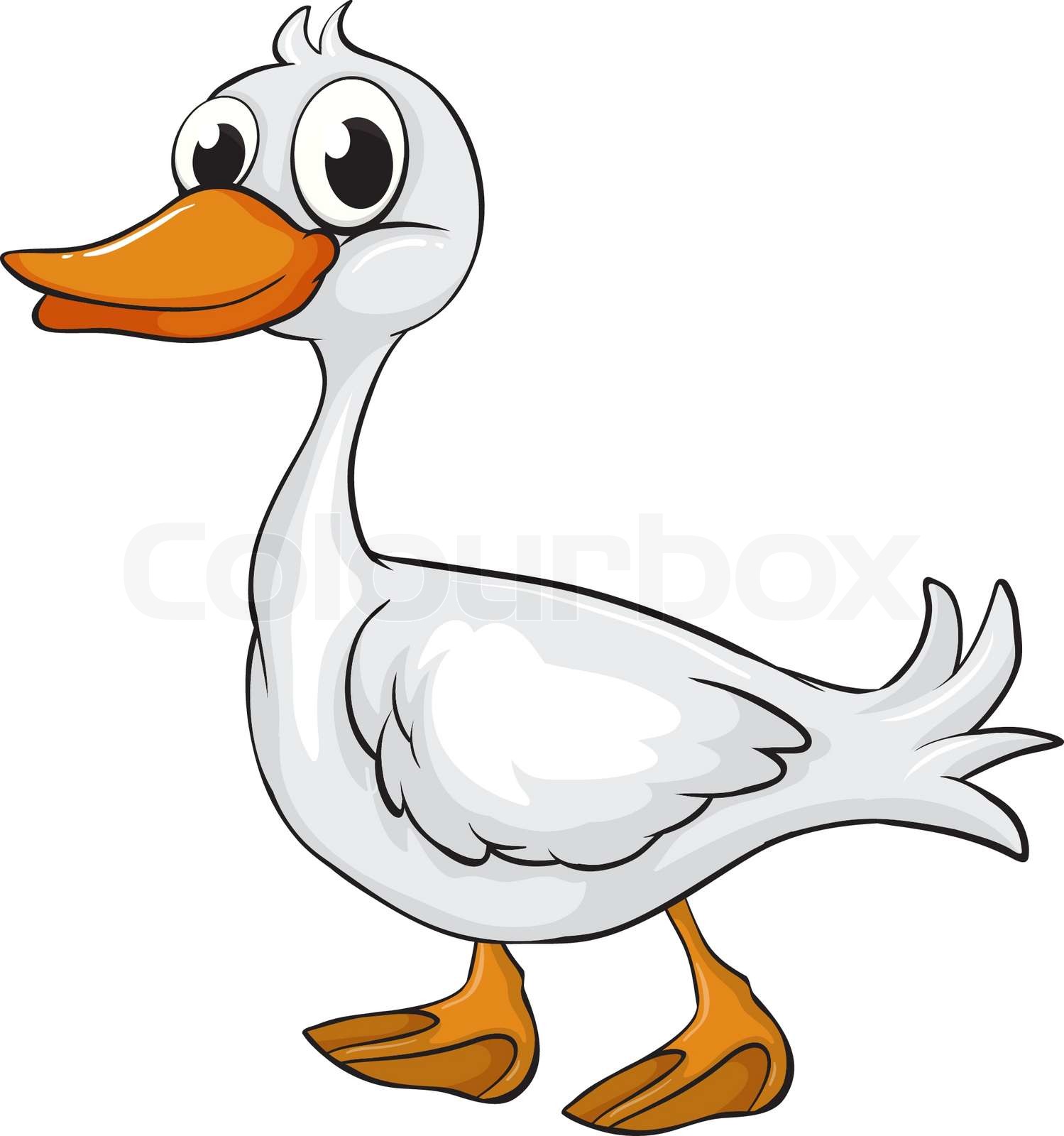 Eine Ente | Stock-Vektor | Colourbox