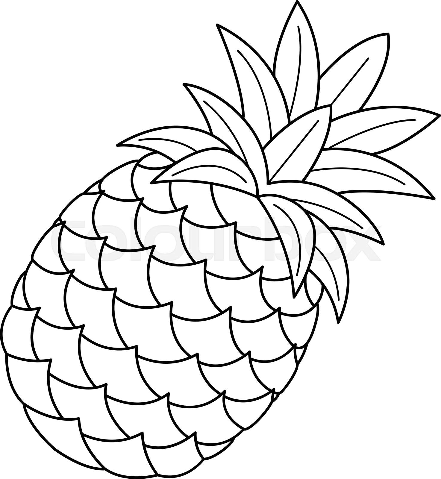 Pineapple Clipart Black And White