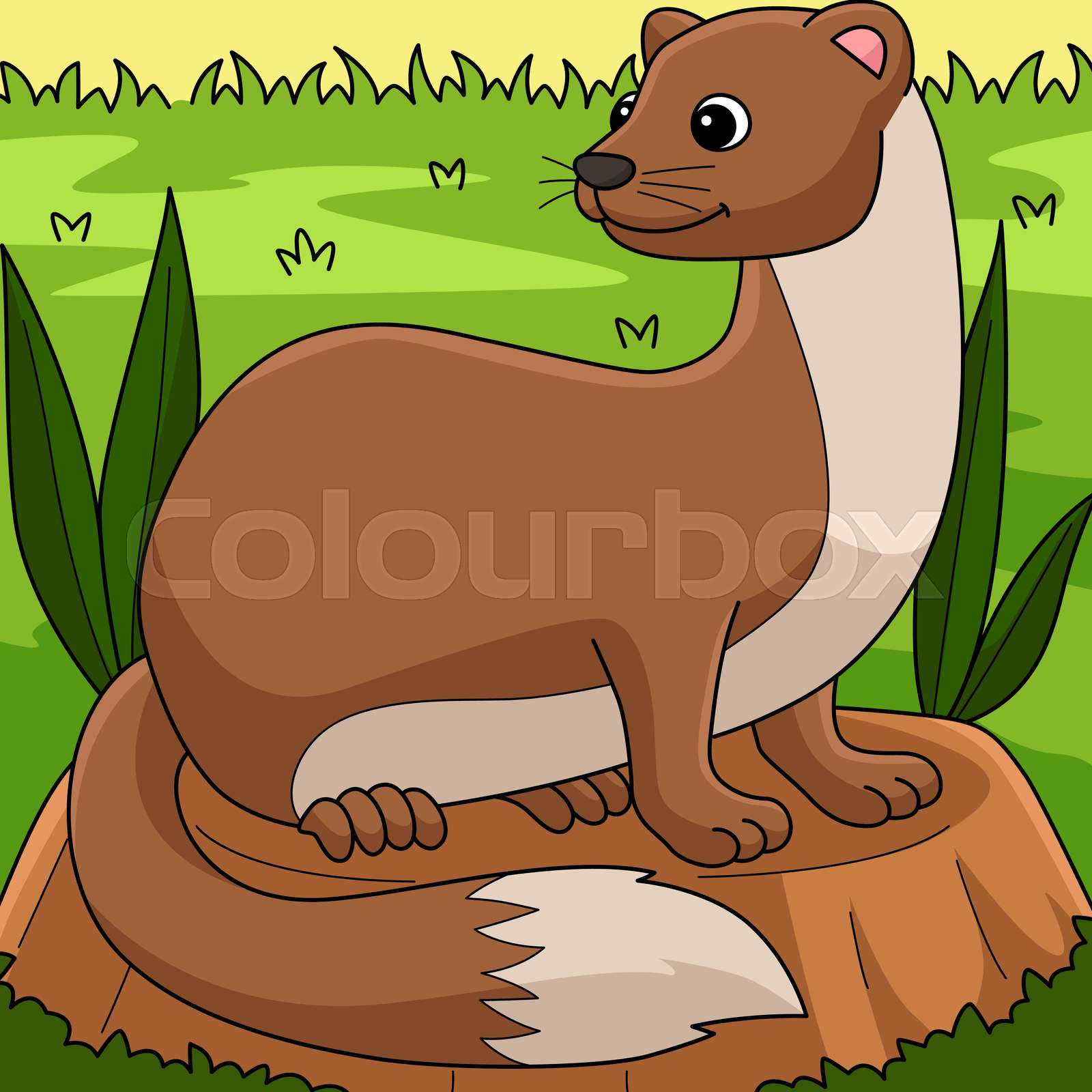 Weasel Cartoon