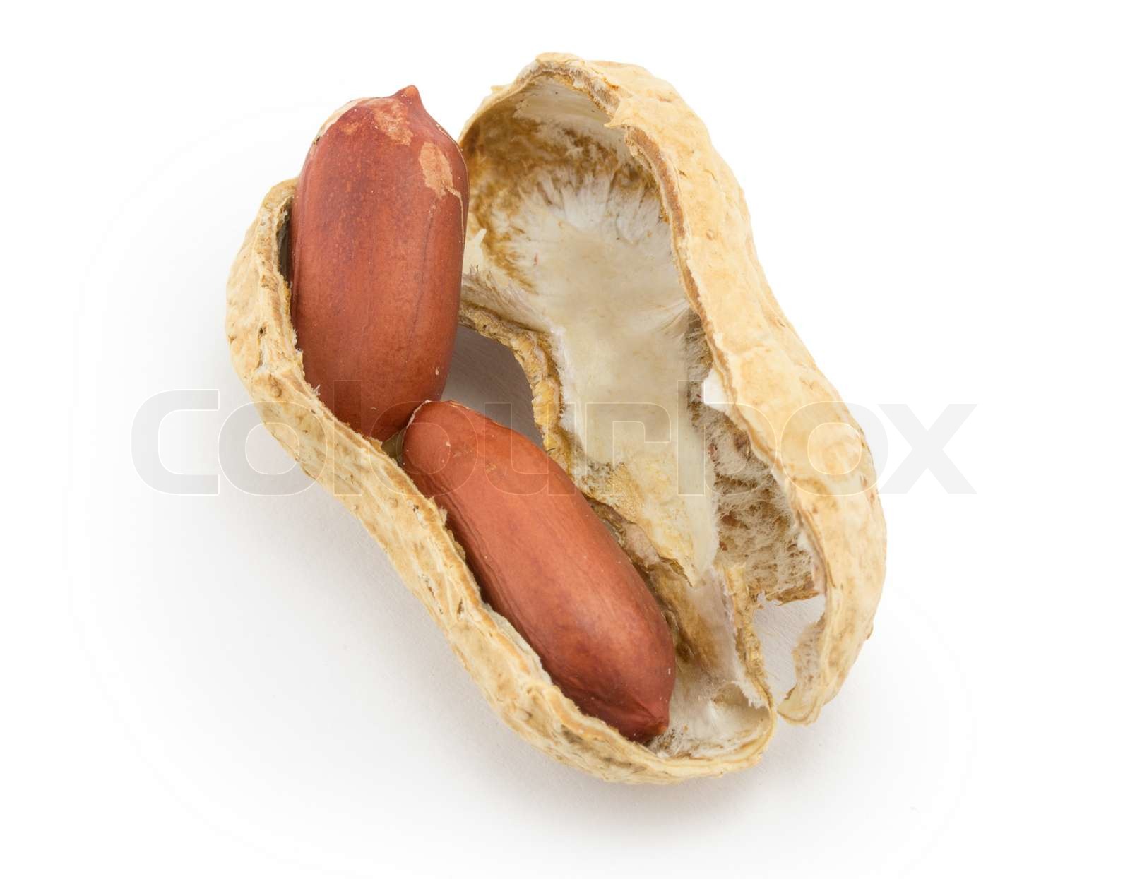 peanuts | Stock image | Colourbox