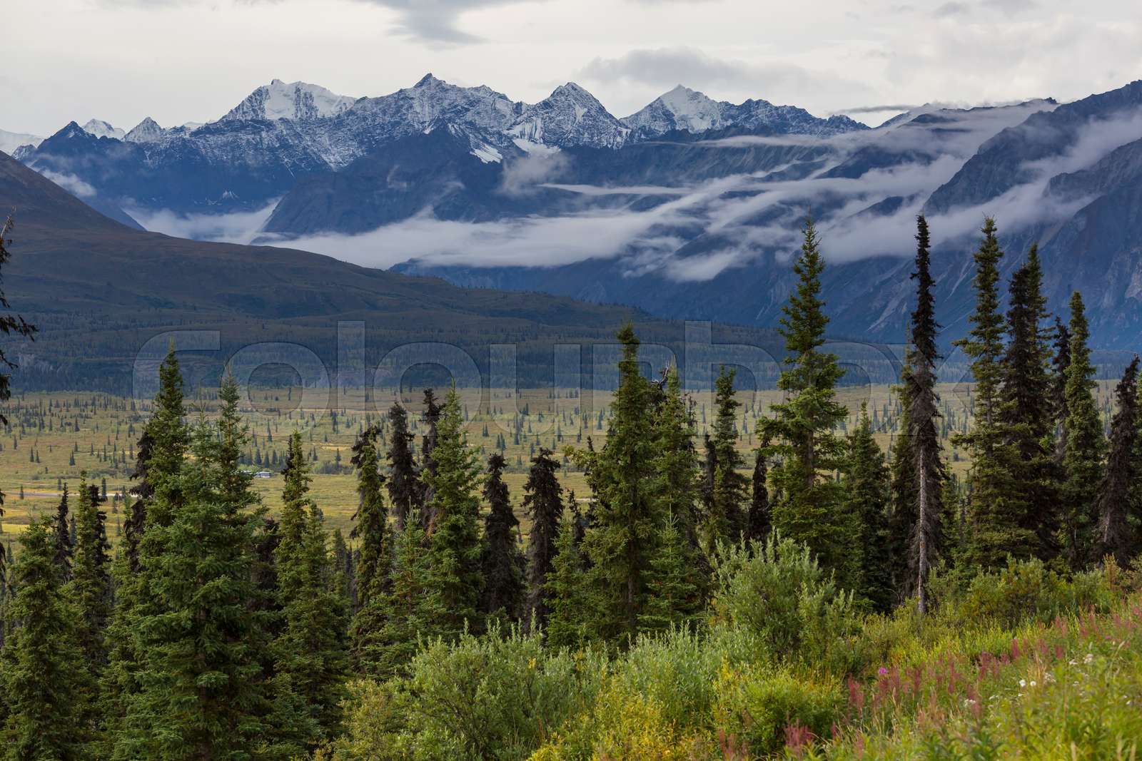 Mountains in Alaska | Stock image | Colourbox