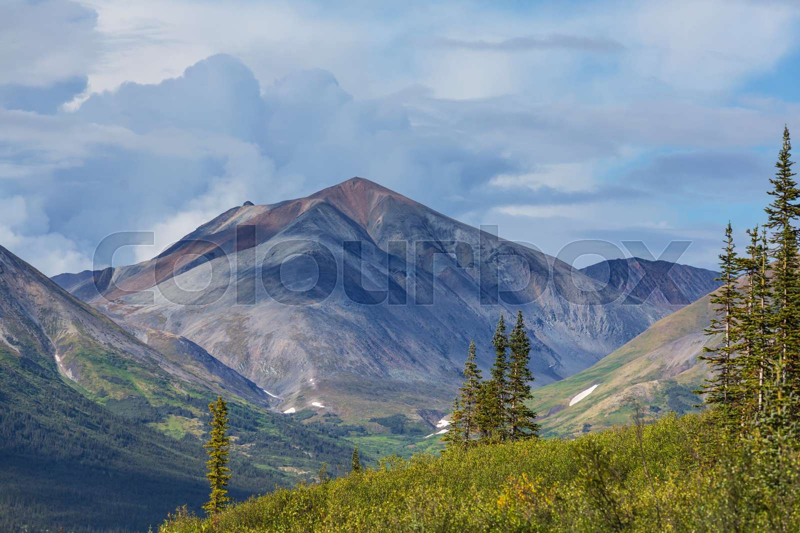 Polar tundra | Stock image | Colourbox