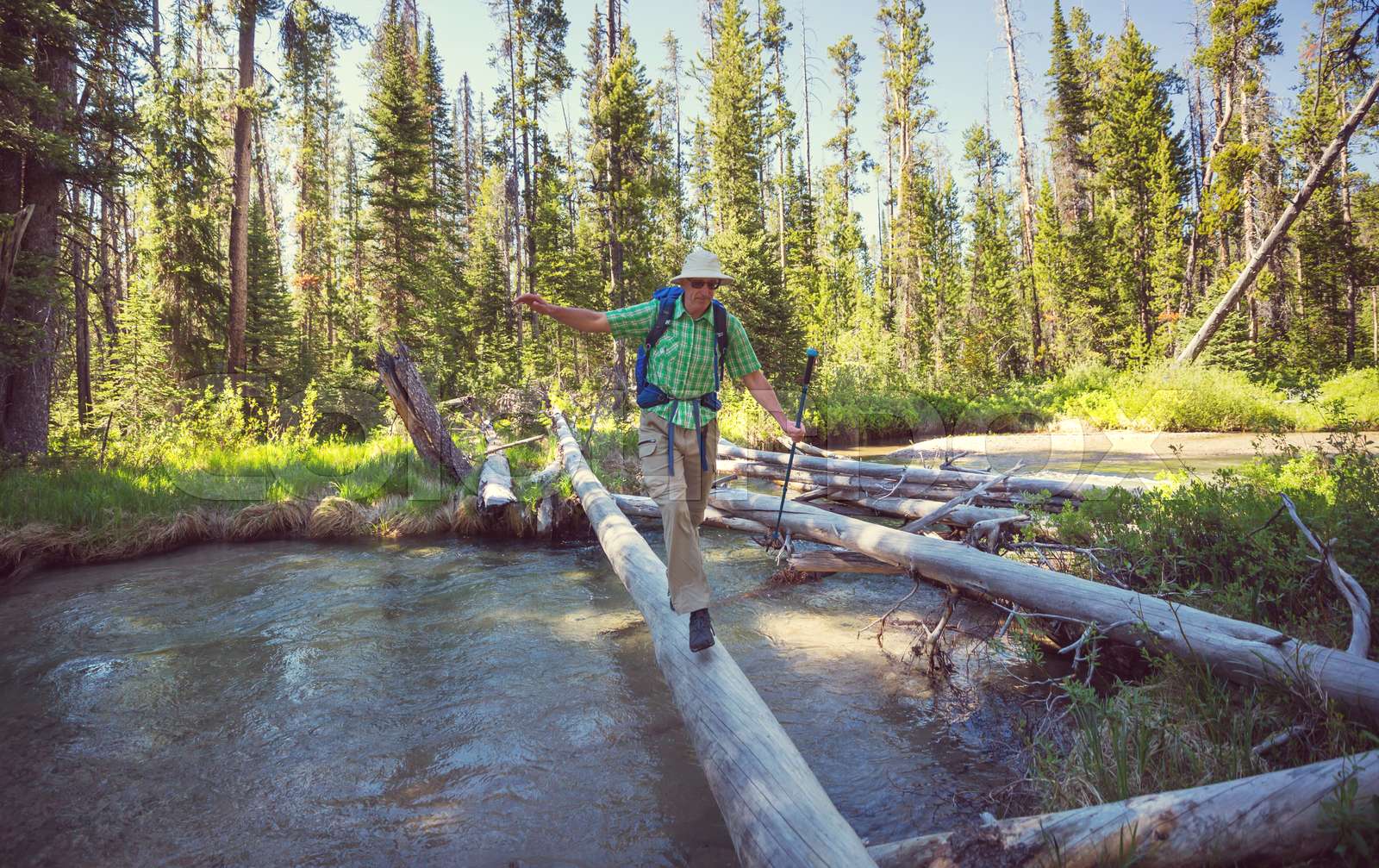 Summer hike | Stock image | Colourbox
