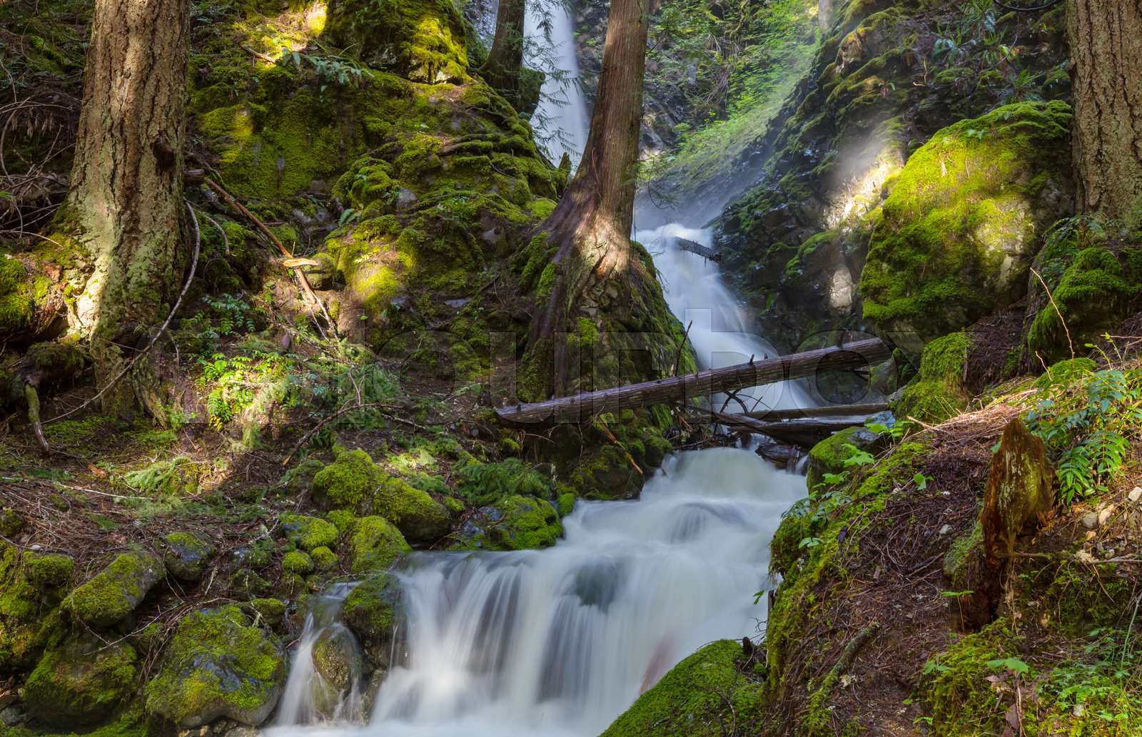 Waterfall in Canada | Stock image | Colourbox