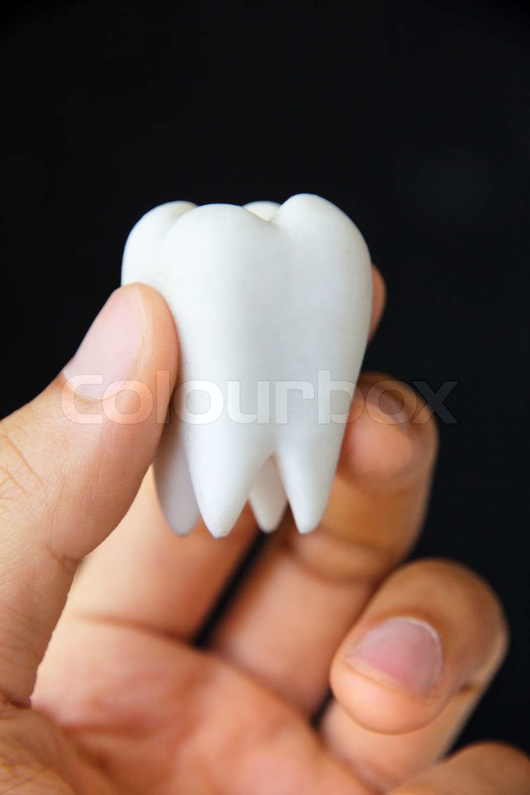 hand holding molar, dental concept | Stock image | Colourbox