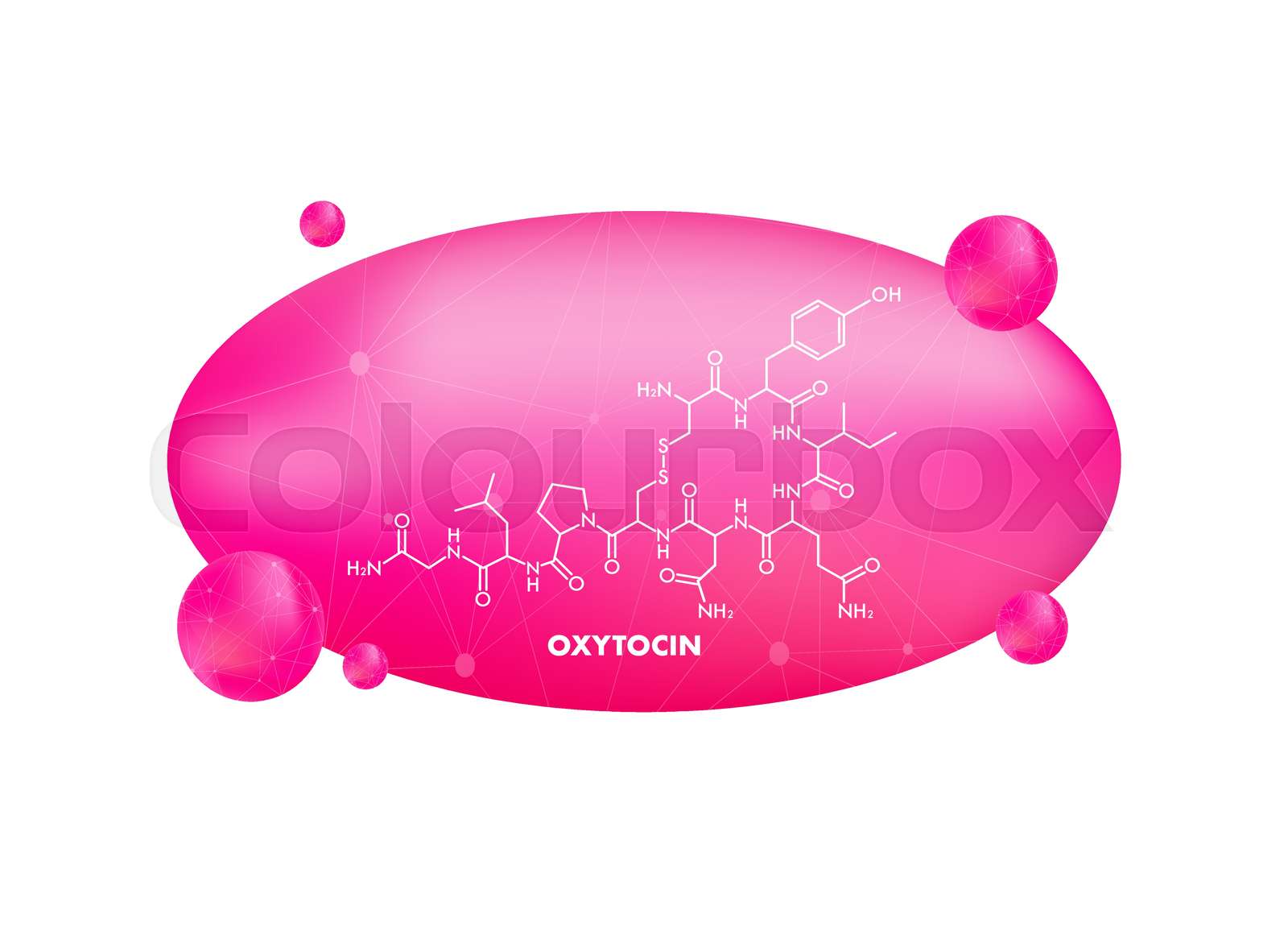 oxytocin, hormon, isoleret | Stock vektor | Colourbox
