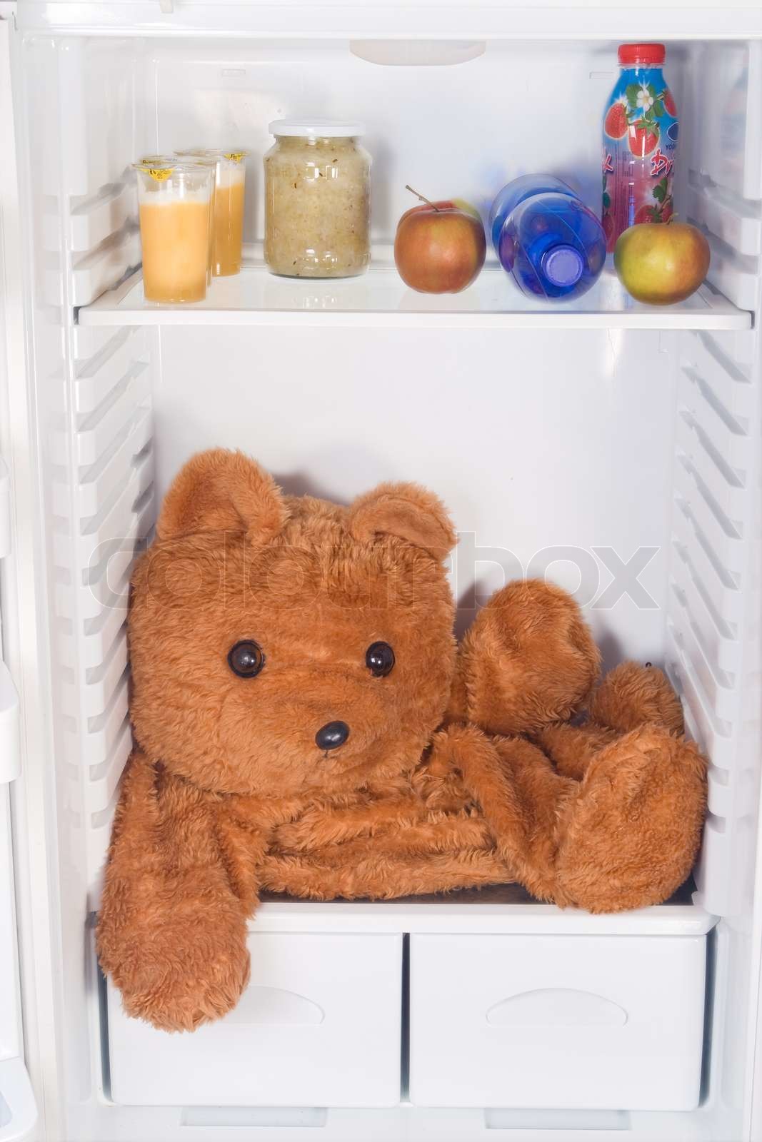 teddy bear in the refrigerator | Stock image | Colourbox