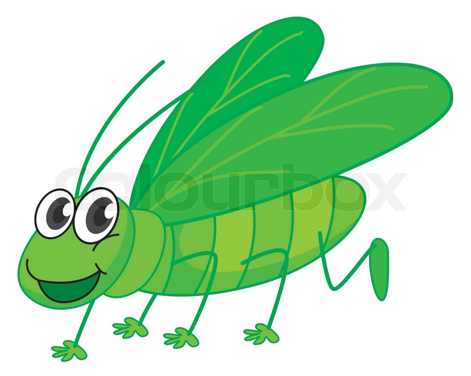 A smiling grasshopper | Stock vector | Colourbox