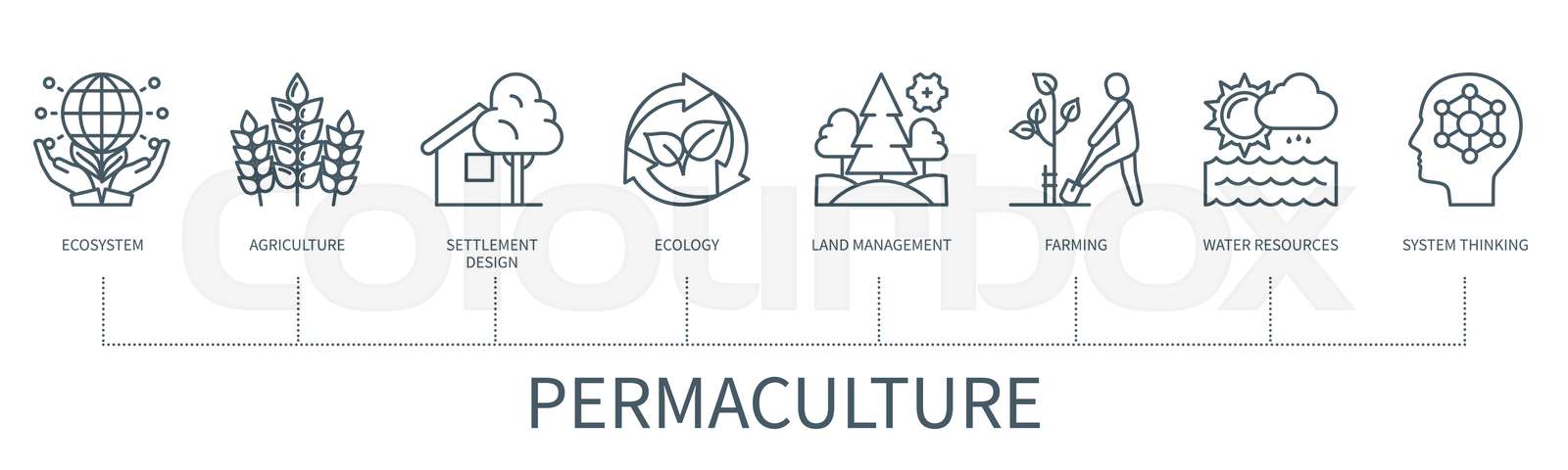 permaculture outline infographics | Stock vector | Colourbox