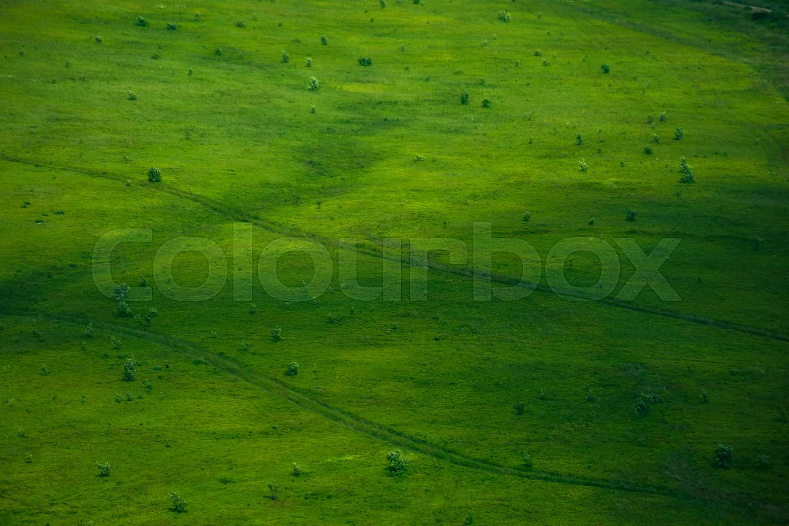 green grass surface texture. mountain hill in summer | Stock image ...