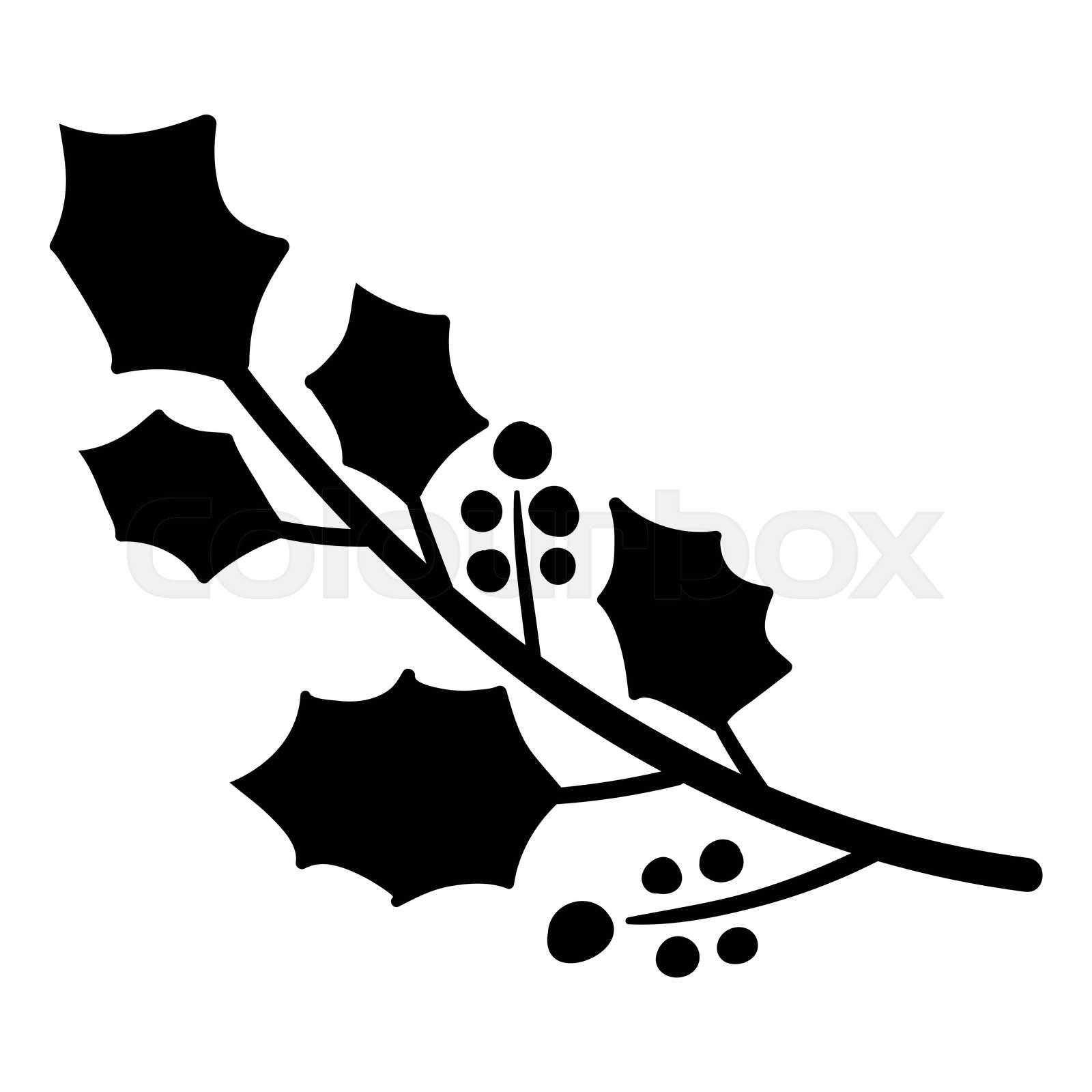 Holly Leaf Black And White
