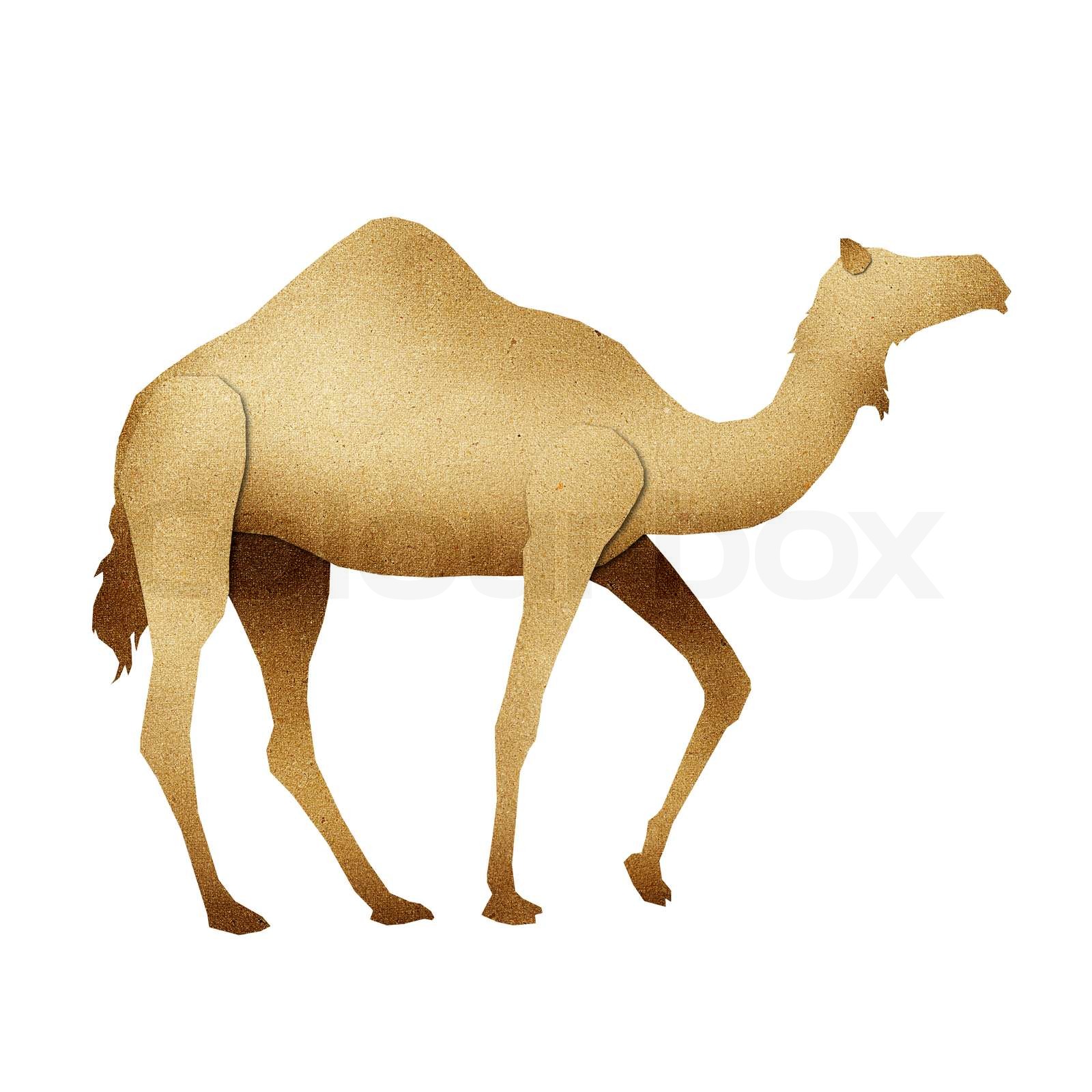 Papercut Camel Recyclingpapier Stock Bild Colourbox papercut-camel-recyclingpapier-stock-bild-colourbox