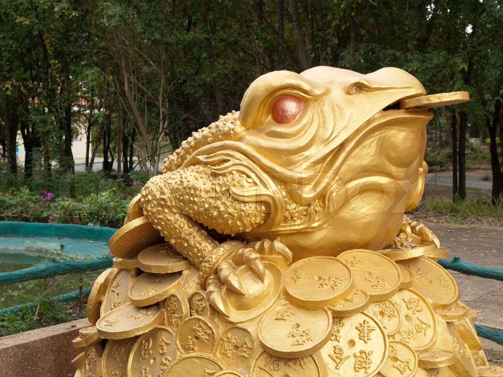 Frog with money | Stock image | Colourbox