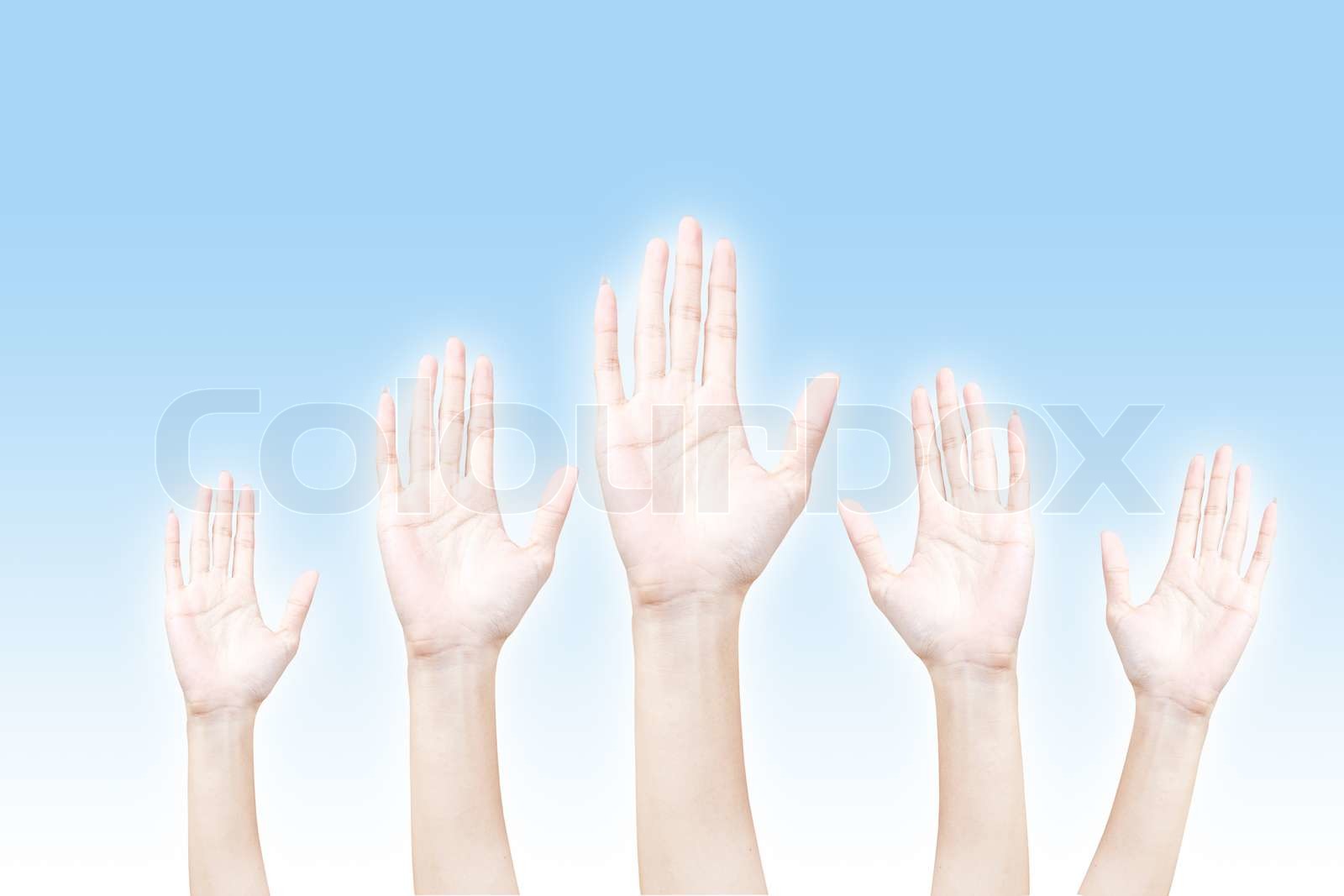Hand, raised hand up isolated on white | Stock image | Colourbox