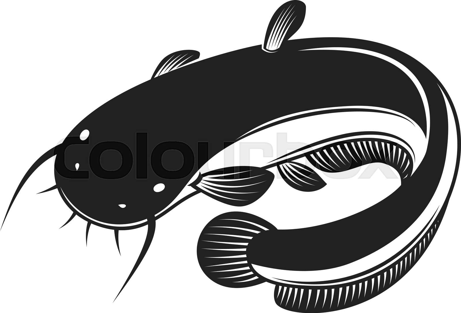 Illustration of catfish in engraving style. Design element for logo ...