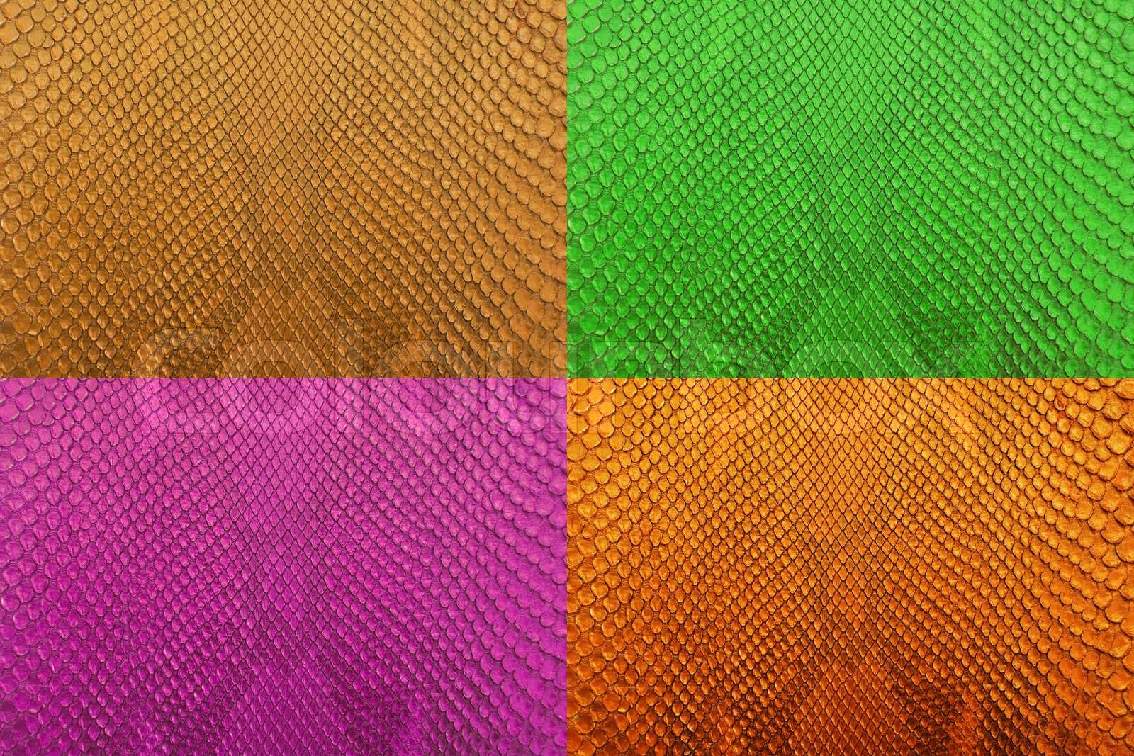 Set of Colorful python snake skin texture background | Stock image ...