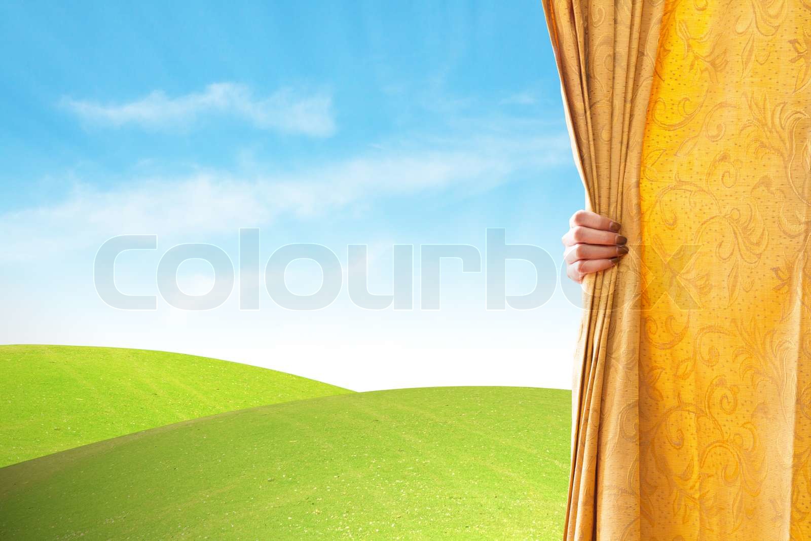 Opening the curtain | Stock image | Colourbox