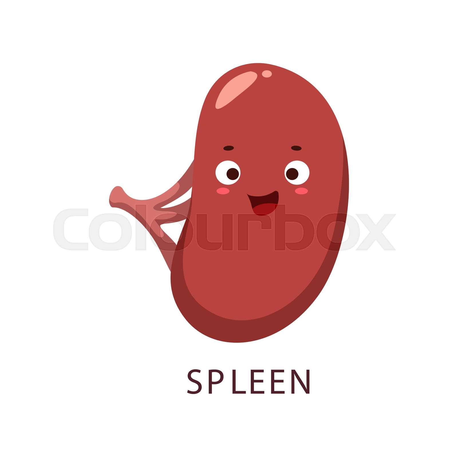 Cartoon spleen human bogy organ funny character | Stock vector | Colourbox