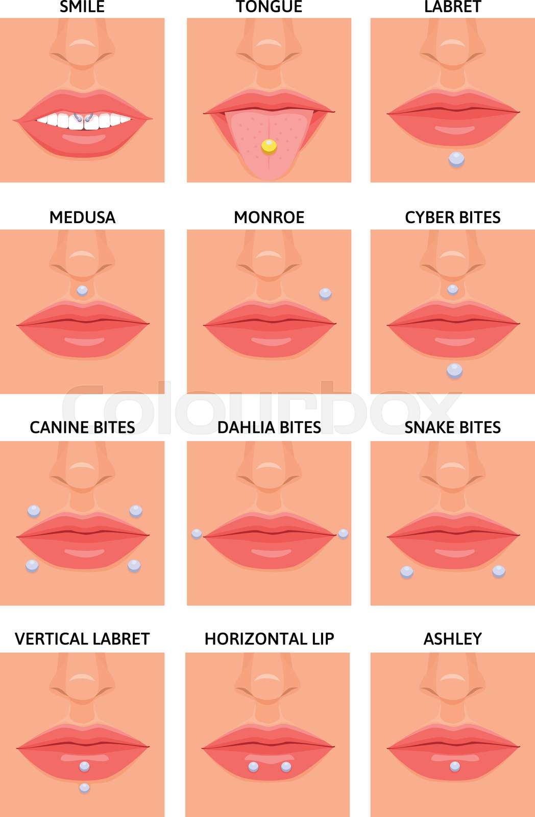 Types Of Facial Piercings Chart