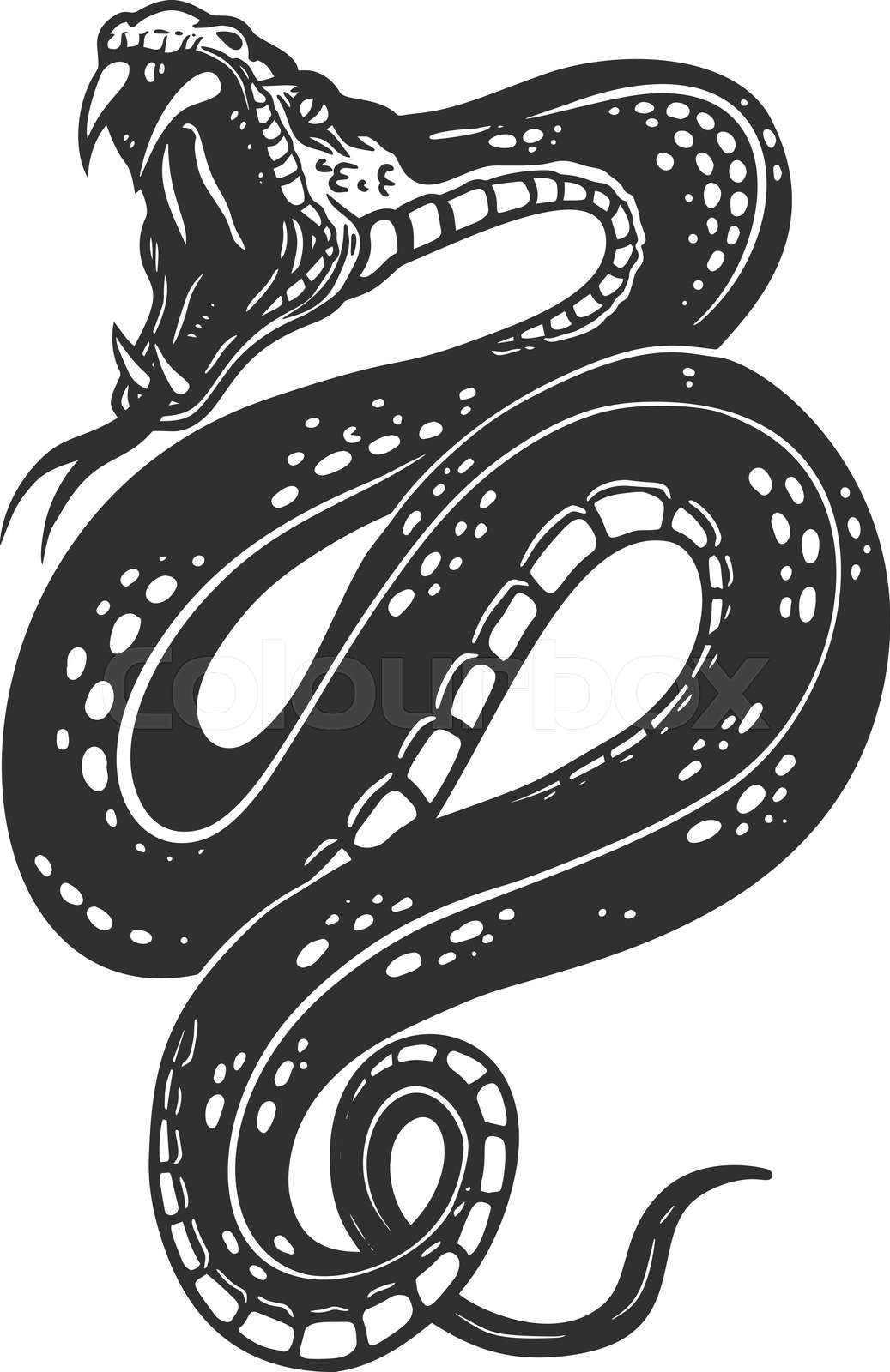 Illustration of poisonous snake in engraving style. Design element for ...