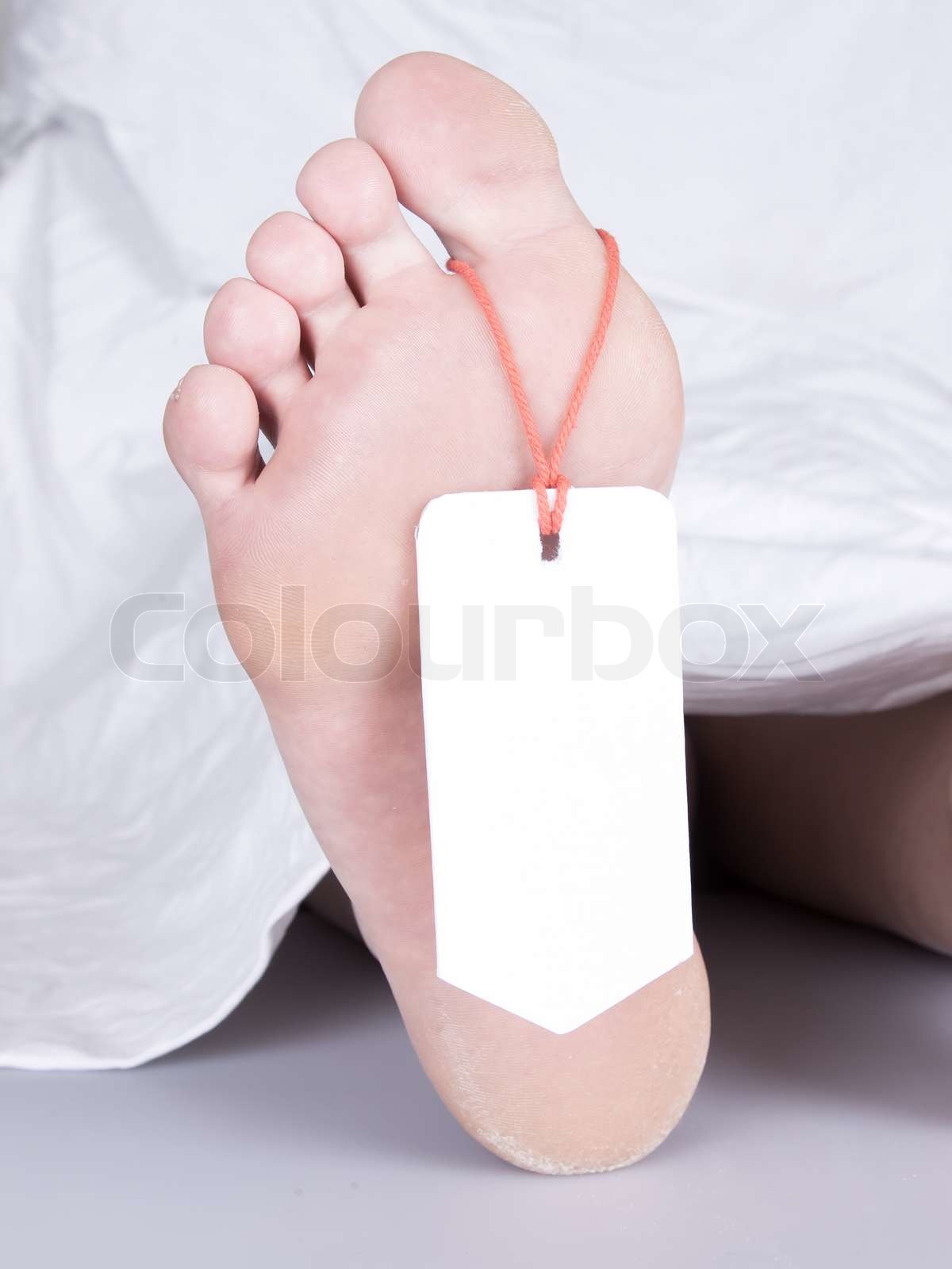 Toe Tag Dead Person