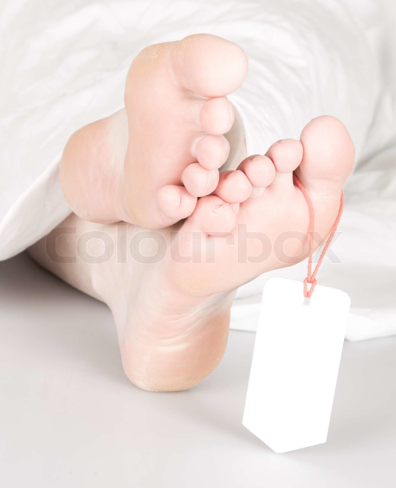 Toe Tag Dead Person