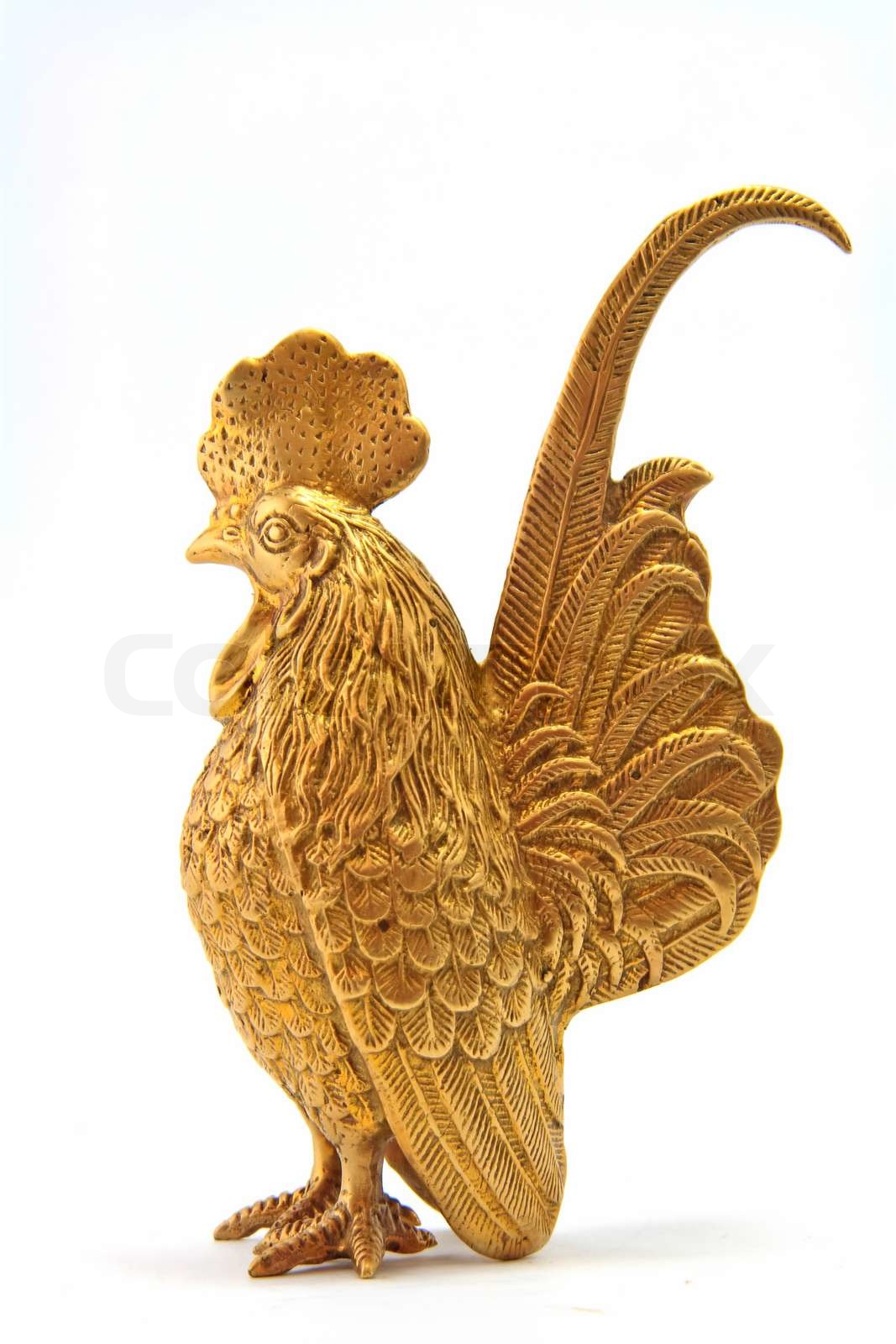 Golden Chicken | Stock image | Colourbox