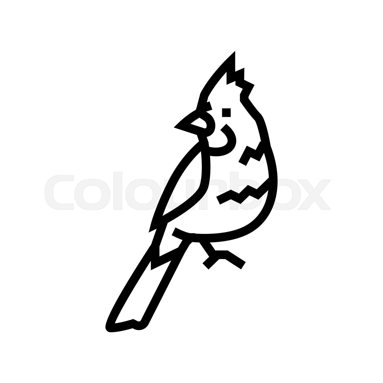 Cardinal Bird Outline