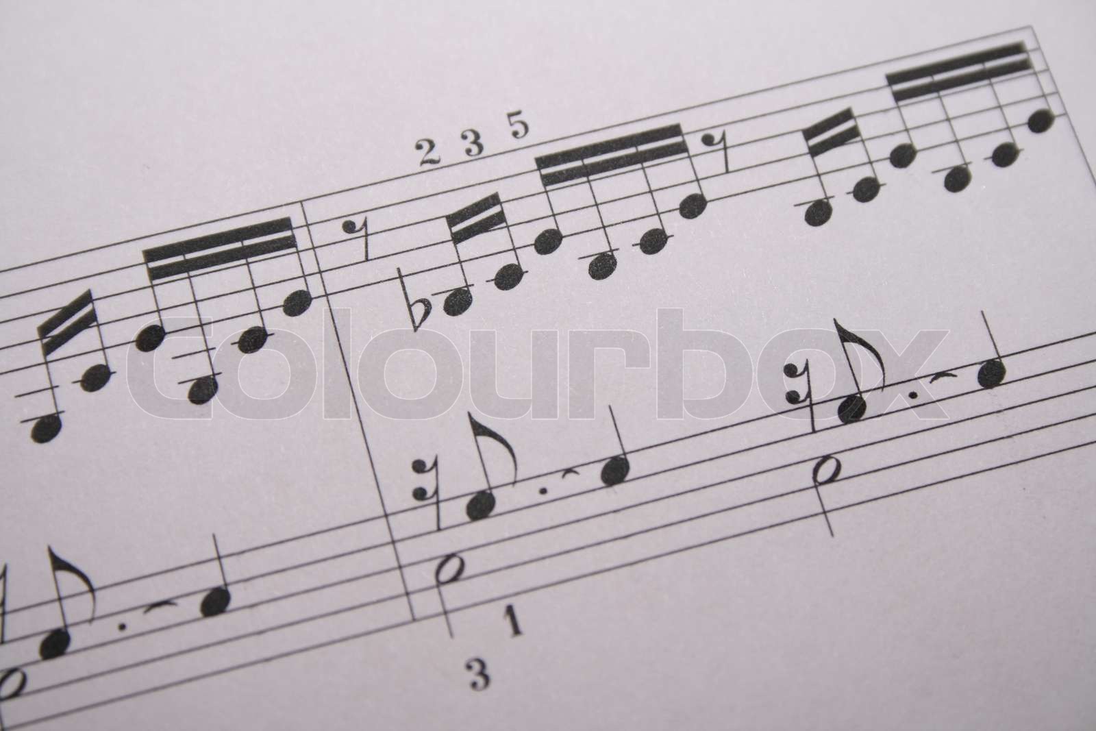 Noder på nodeark | Stock foto | Colourbox