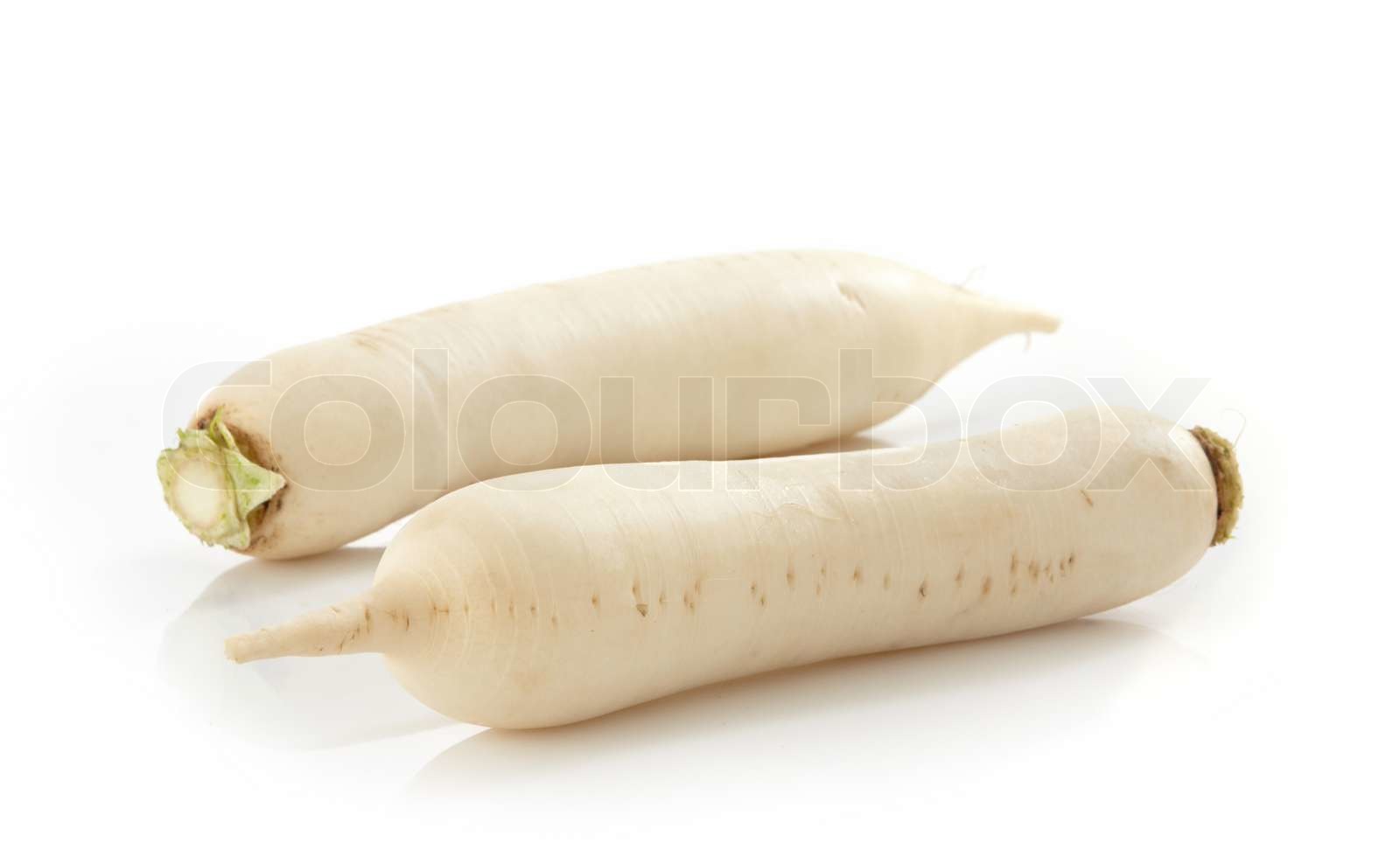 white radish root | Stock image | Colourbox