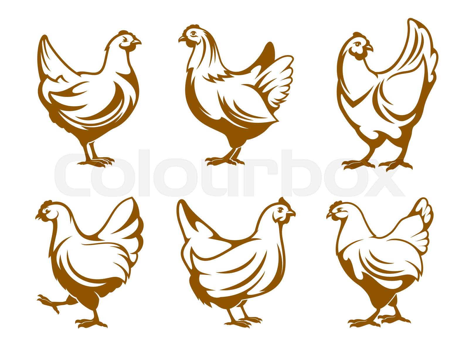 Hen icons, chicken farm and poultry meat symbols | Stock vector | Colourbox