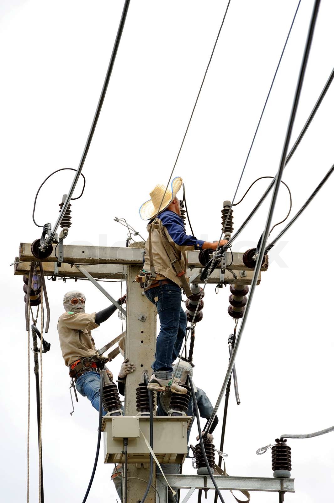 Team work electrician men on electric poles | Stock image | Colourbox