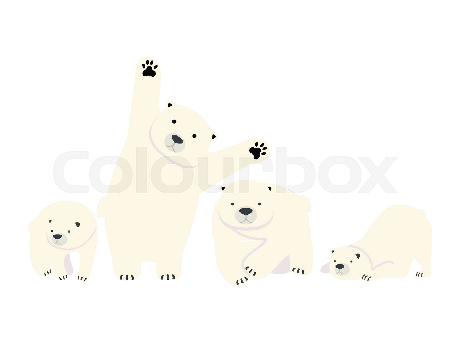 Cute Polar bear family set | Stock vector | Colourbox Cute Polar bear family set | Stock vector | Colourbox
