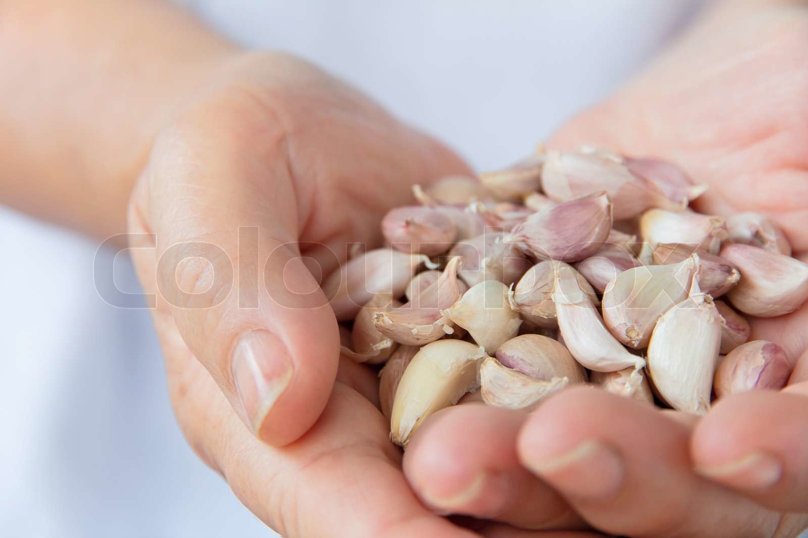 hand holding garlic | Stock image | Colourbox