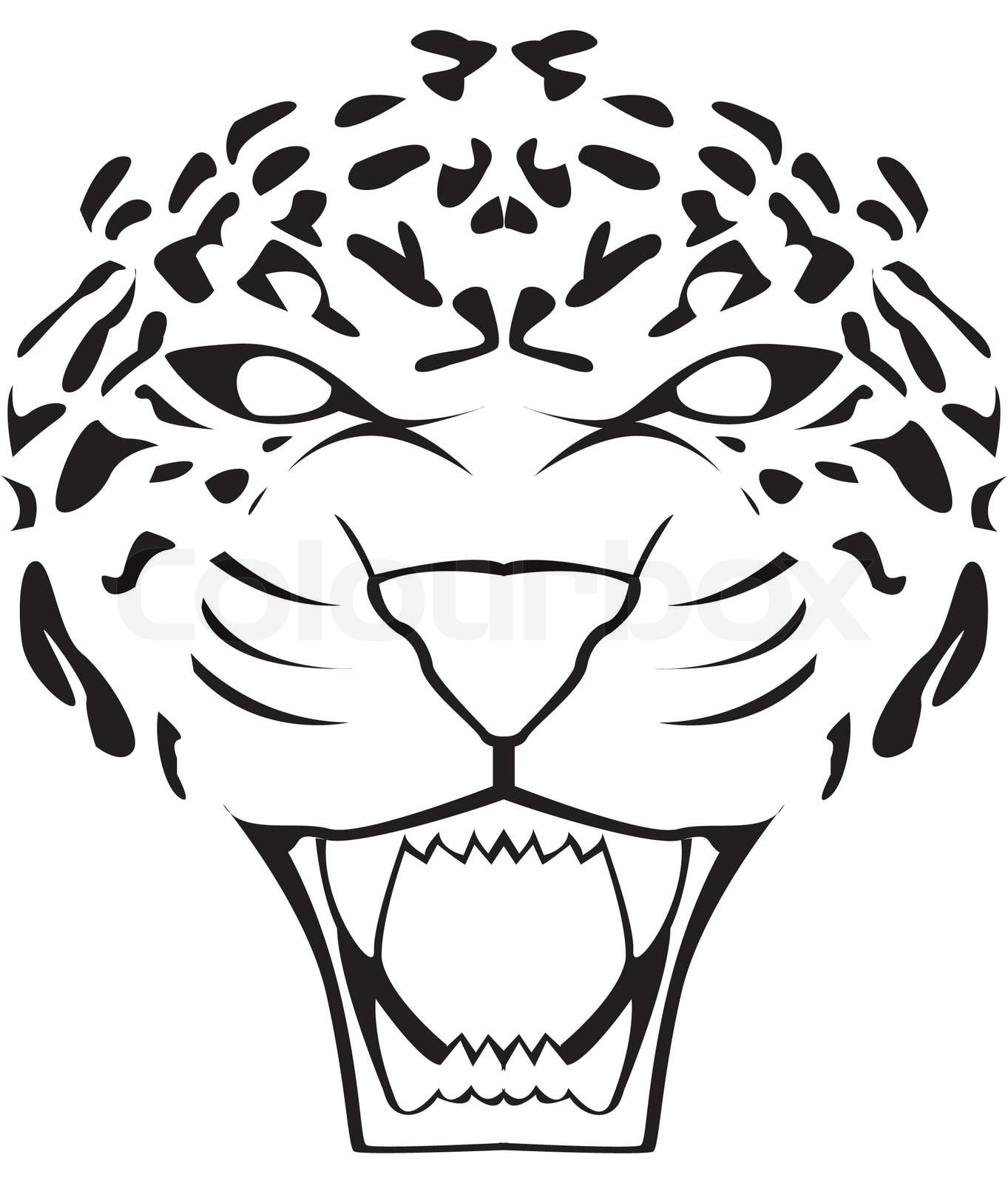 leopard face | Stock vector | Colourbox
