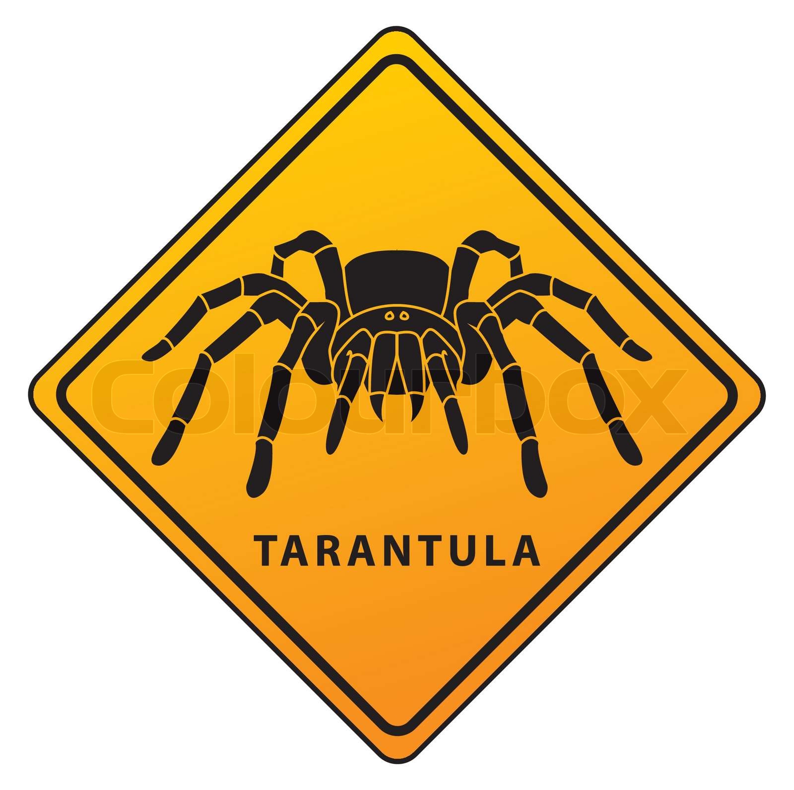 tarantula sign | Stock vector | Colourbox