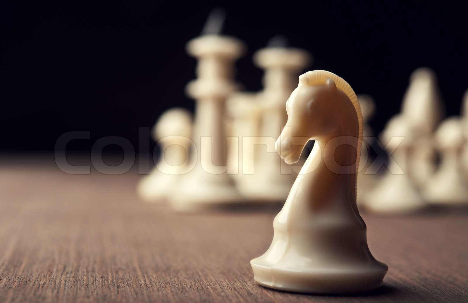 white chess knight | Stock image | Colourbox