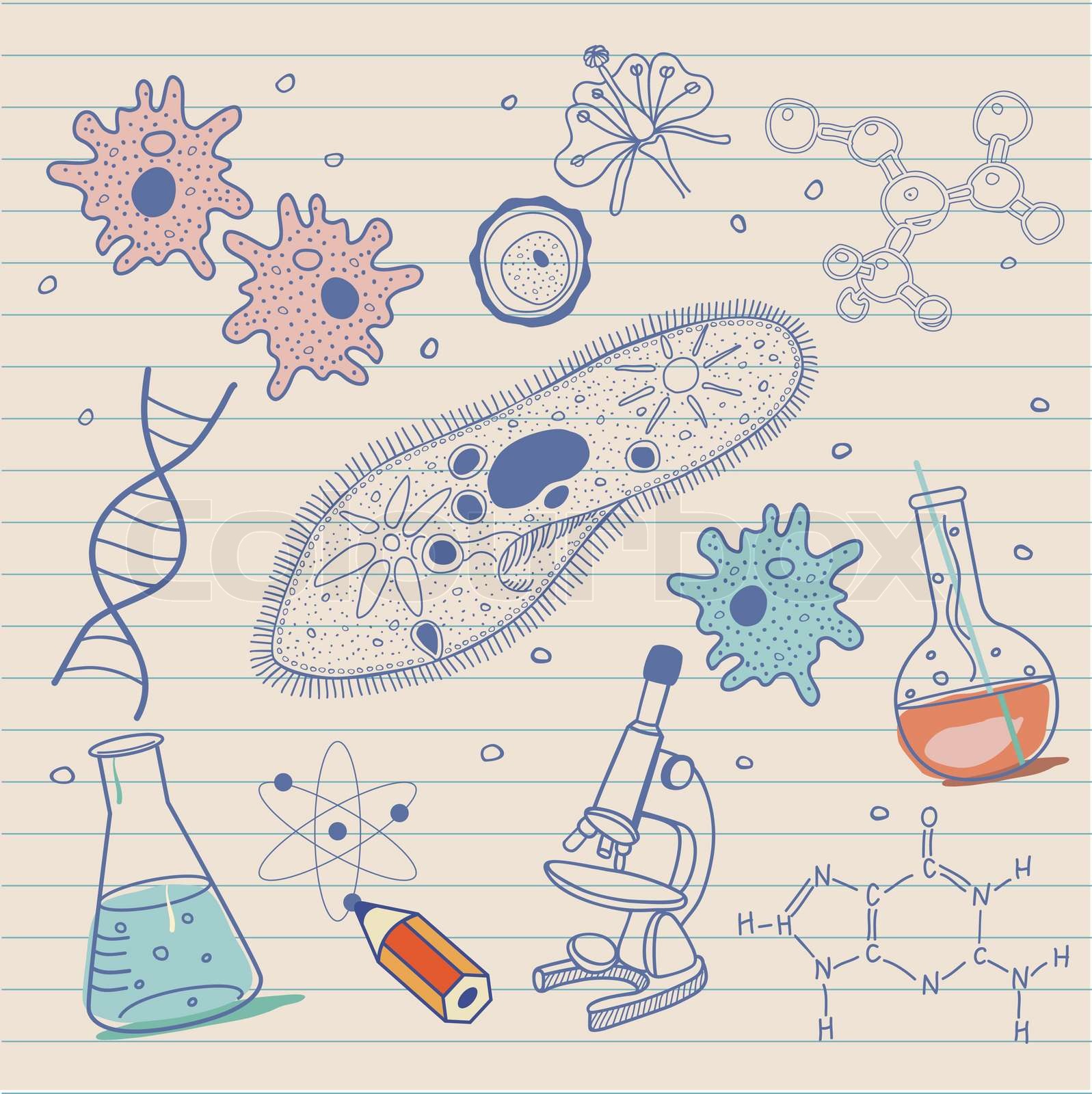 Biology sketches background in vintage style | Stock vector | Colourbox