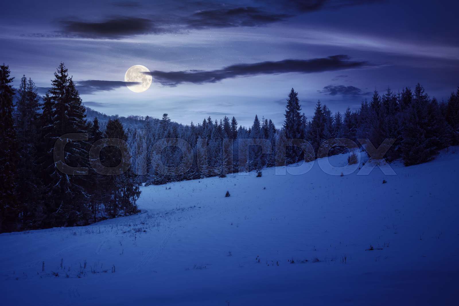 Moonlight Snowy Sunset