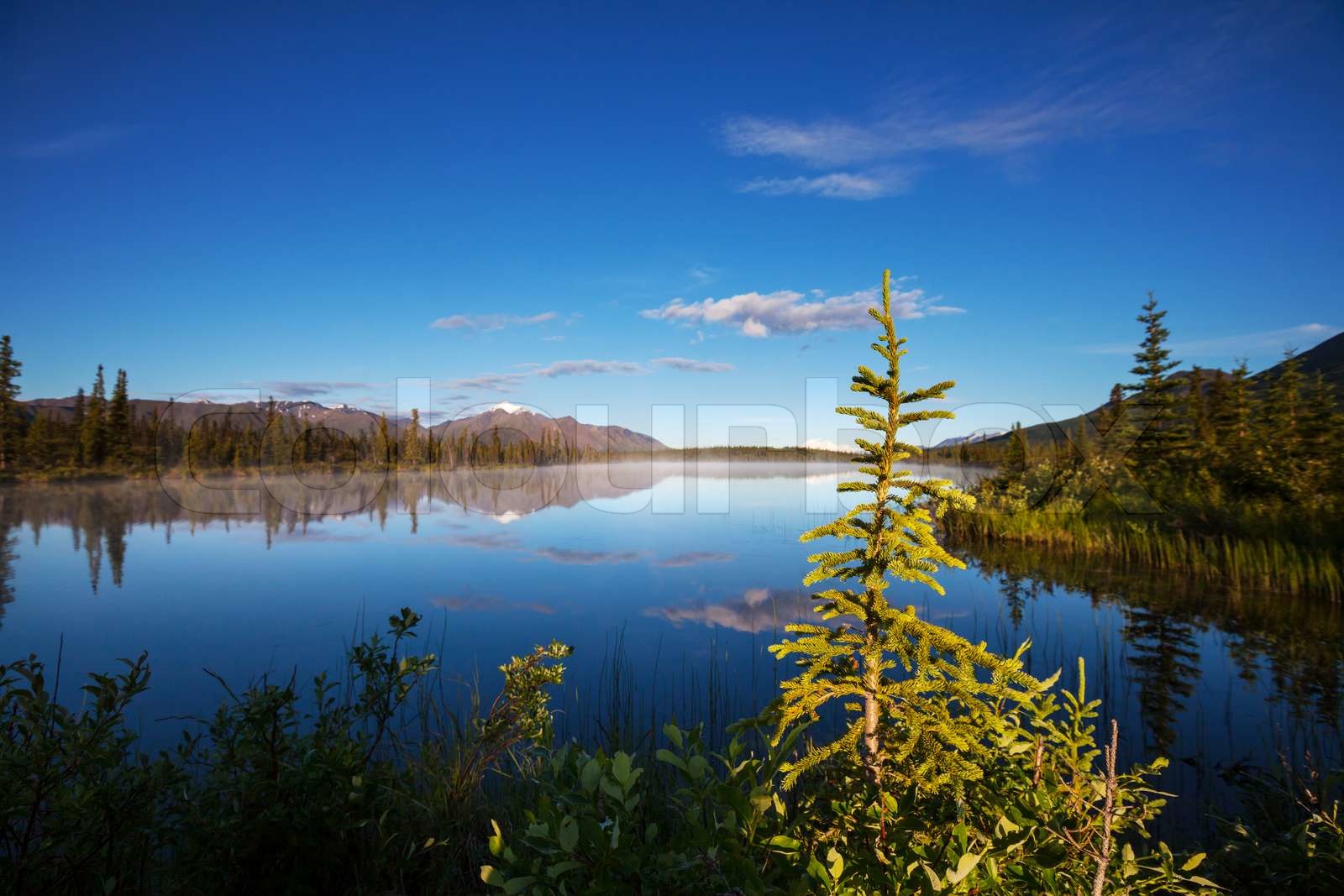 Lake on Alaska | Stock image | Colourbox
