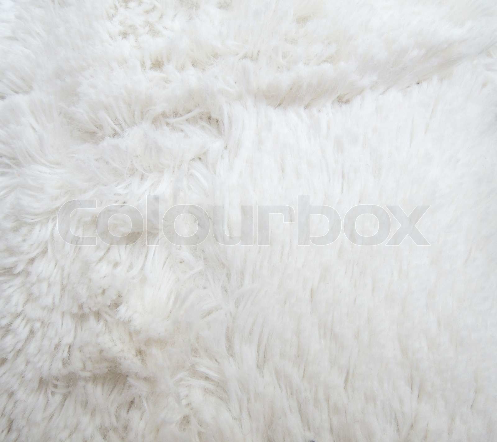 Hvid pels baggrund | Stock foto | Colourbox